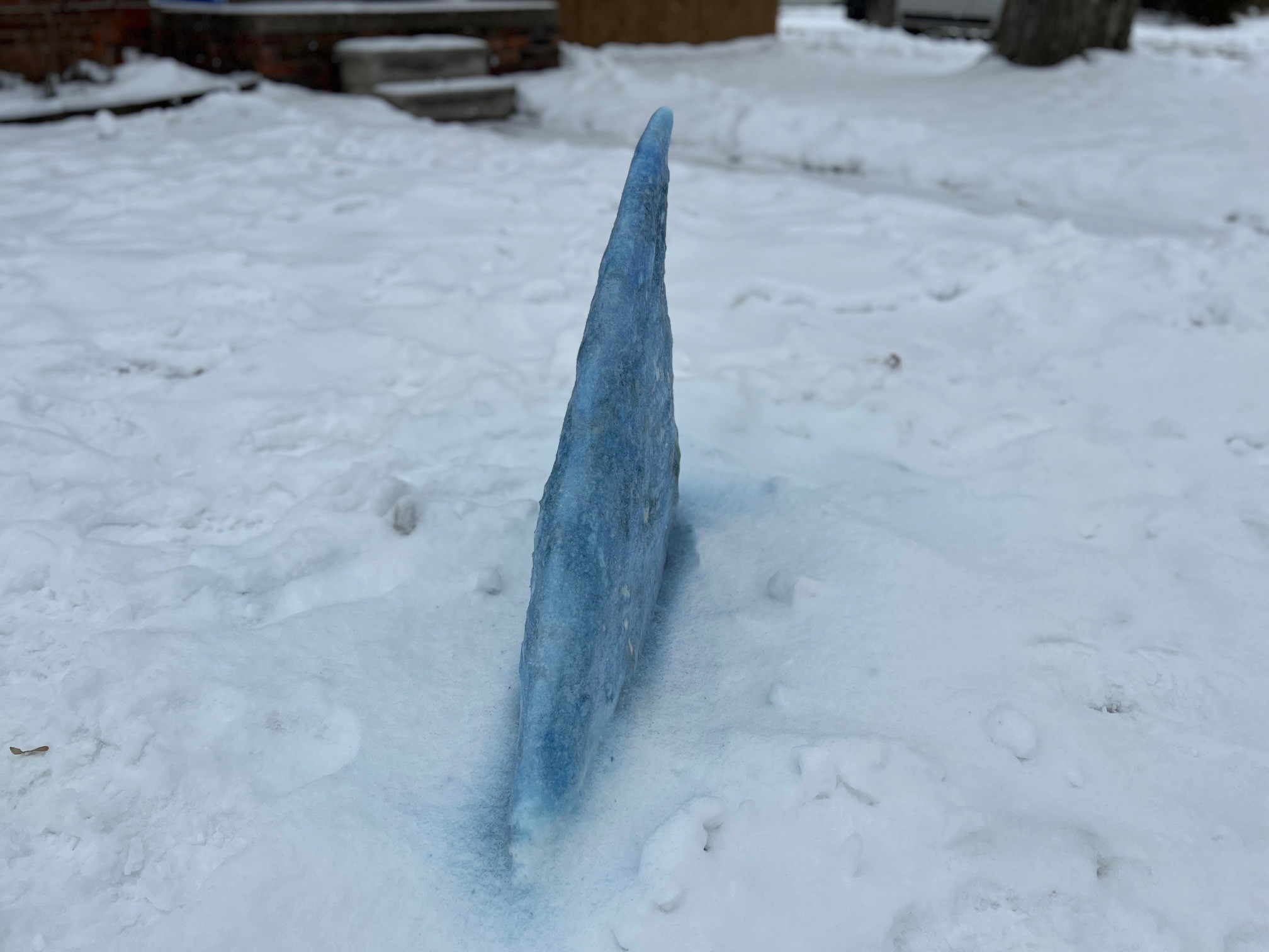 Michigan woman creates snow sharks on her front lawn. - mlive.com