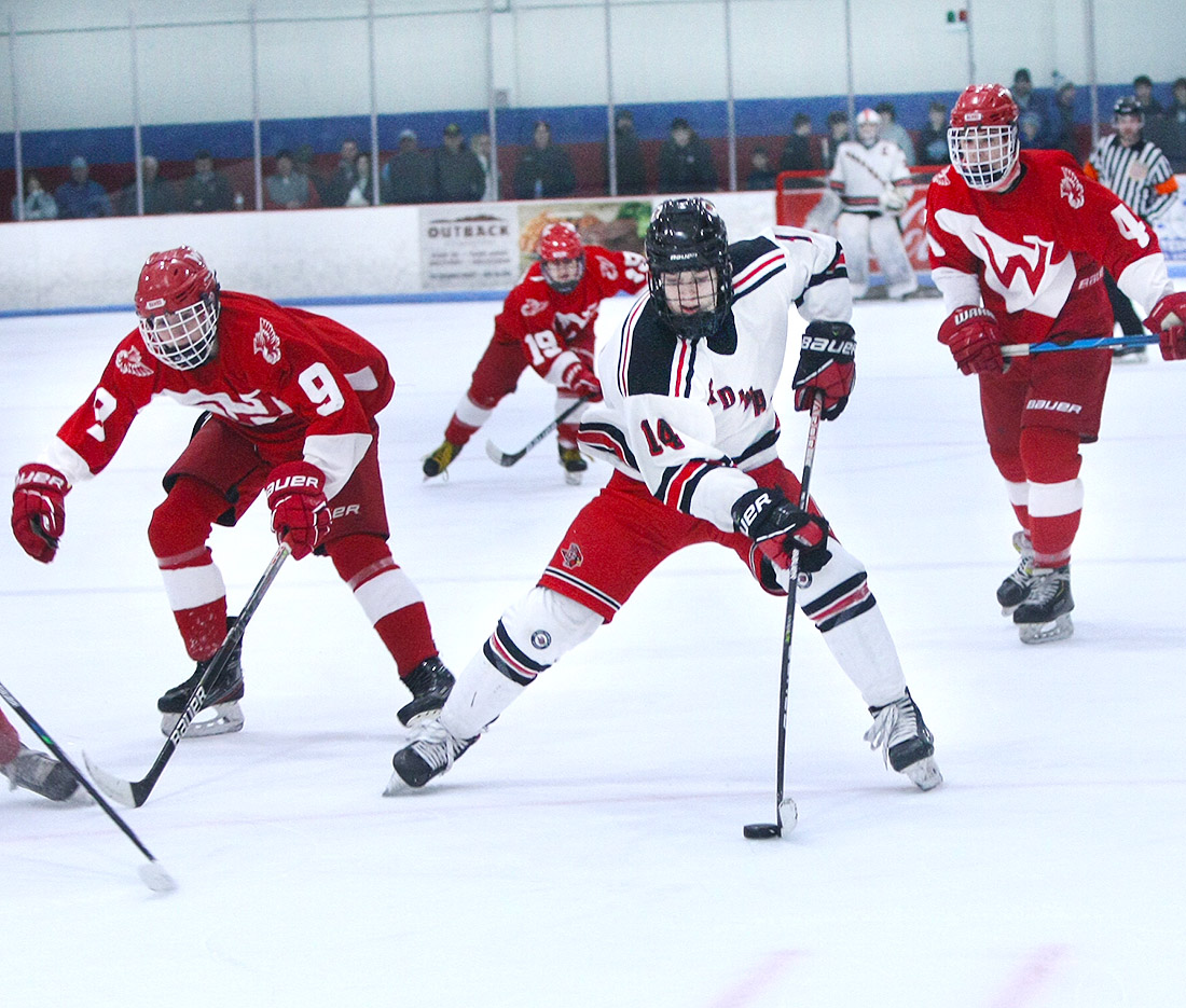 Waltham vs Pope Francis Hockey 3/3/22 - masslive.com