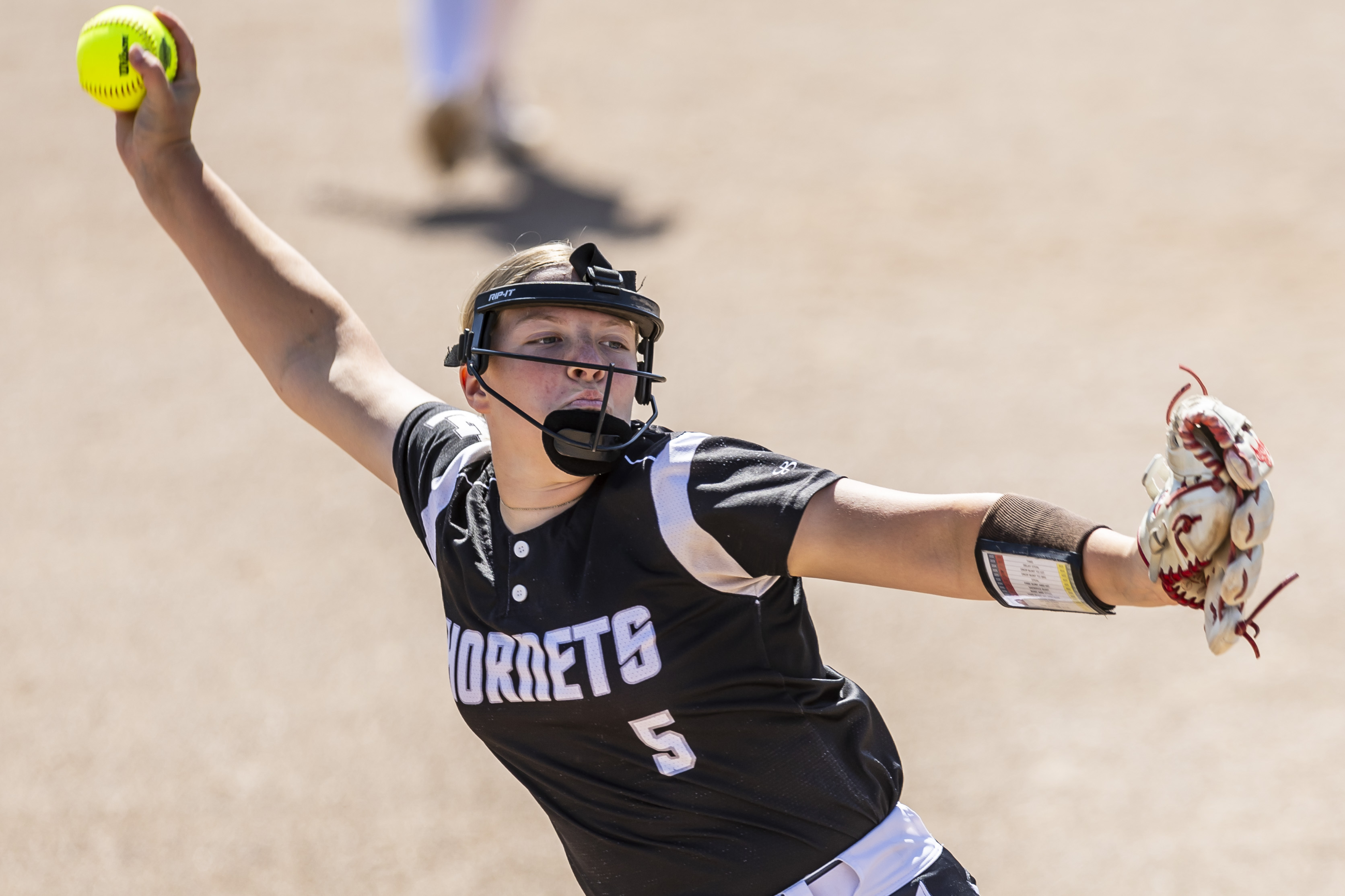 Clare softball defeats New Lothrop in quarterfinal game - mlive.com