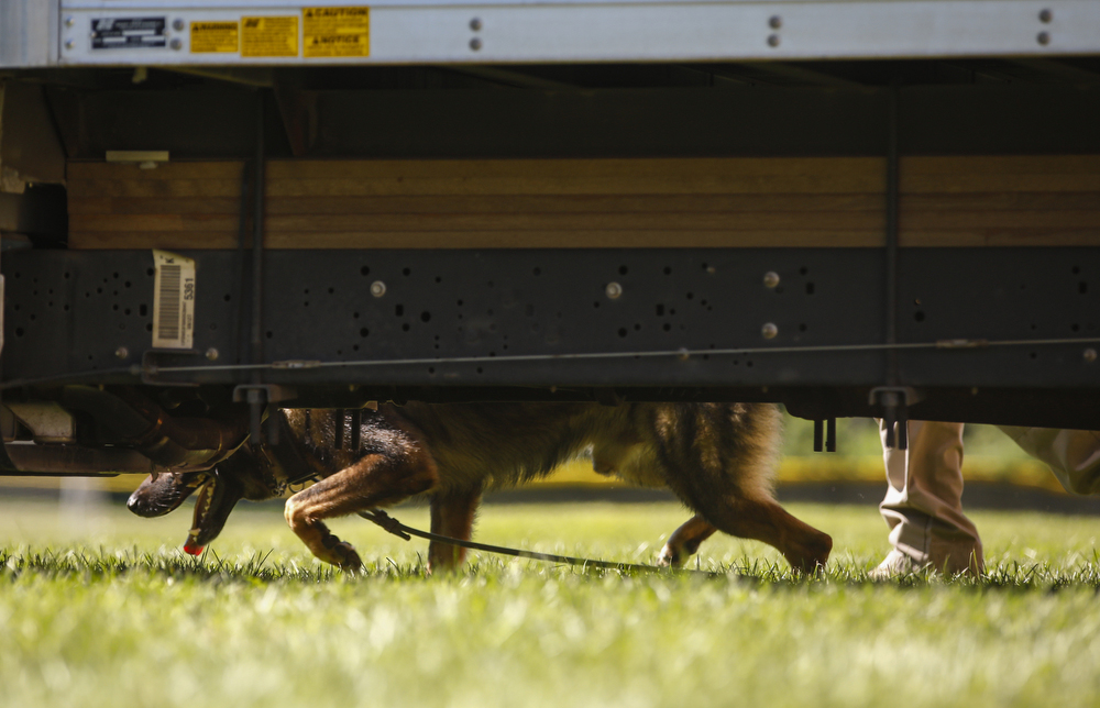 20th Regional Explosives Detection Dog Initiative - lehighvalleylive.com
