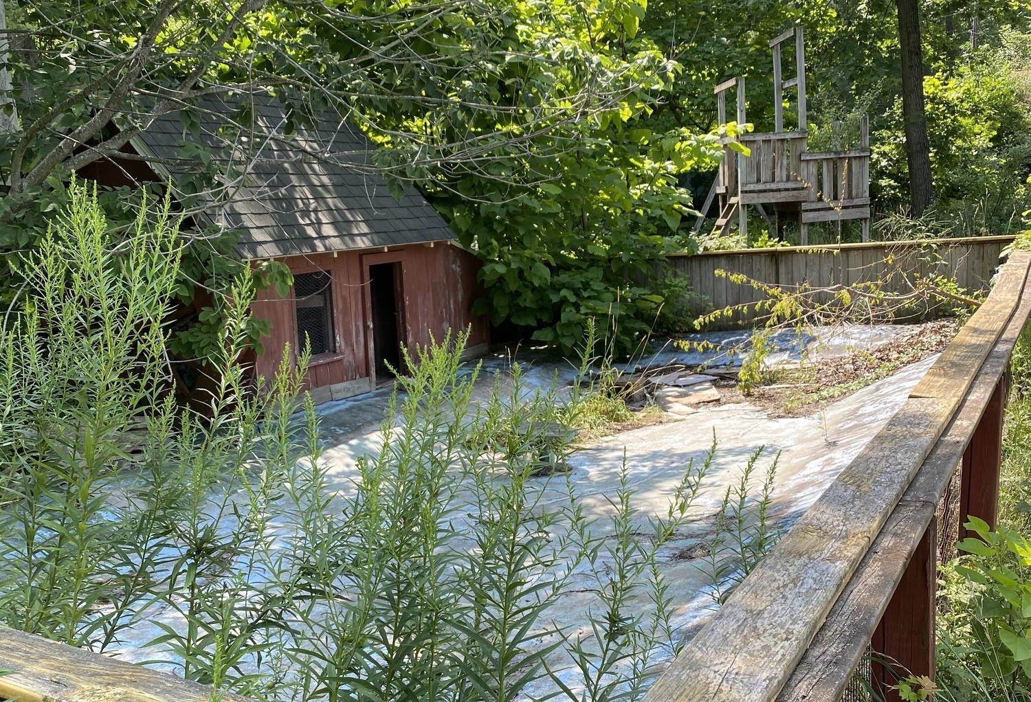 Ruins and remnants of Deer Forest Fun Park in Coloma, Michigan - mlive.com