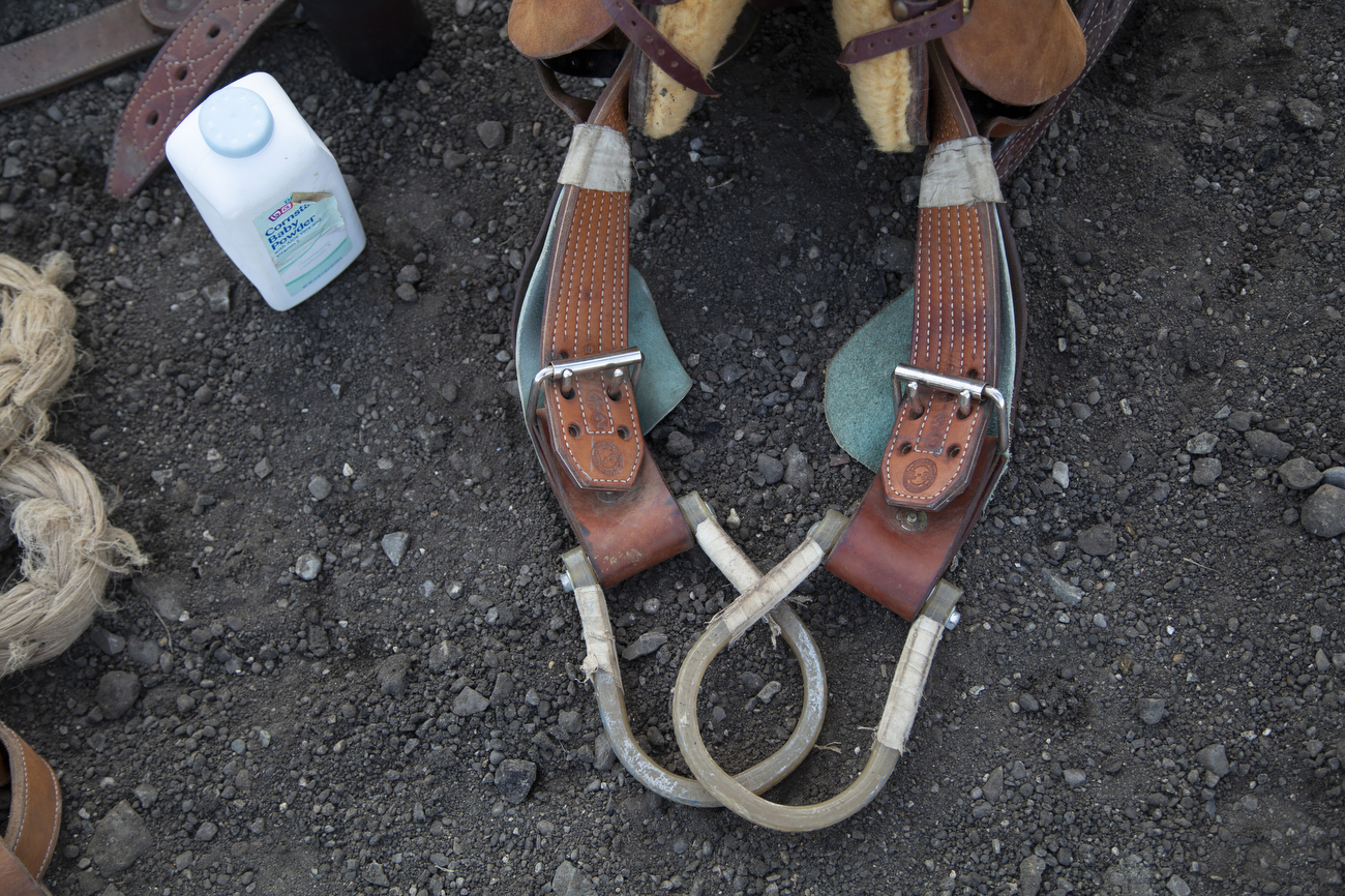 Twisted P Rodeo - mlive.com