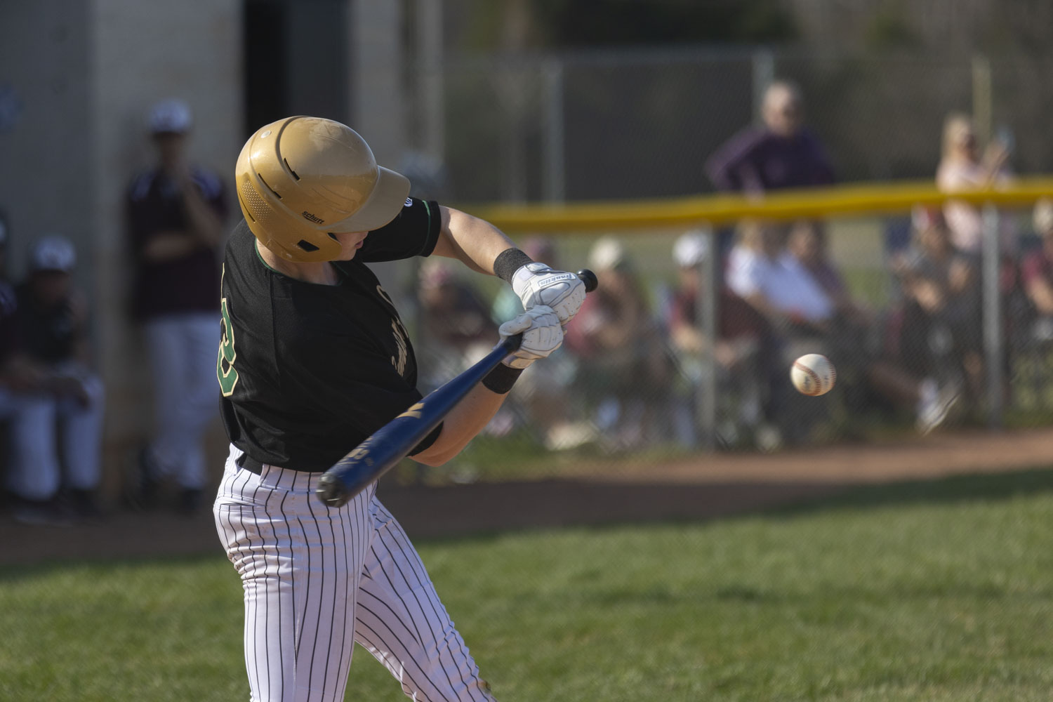 See photos as Parma Western hosts baseball and softball doubleheader ...