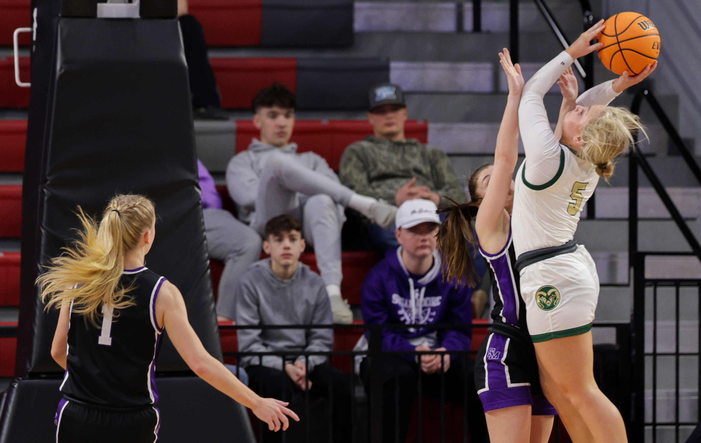 AHSAA Northeast Regional Basketball-3A - al.com