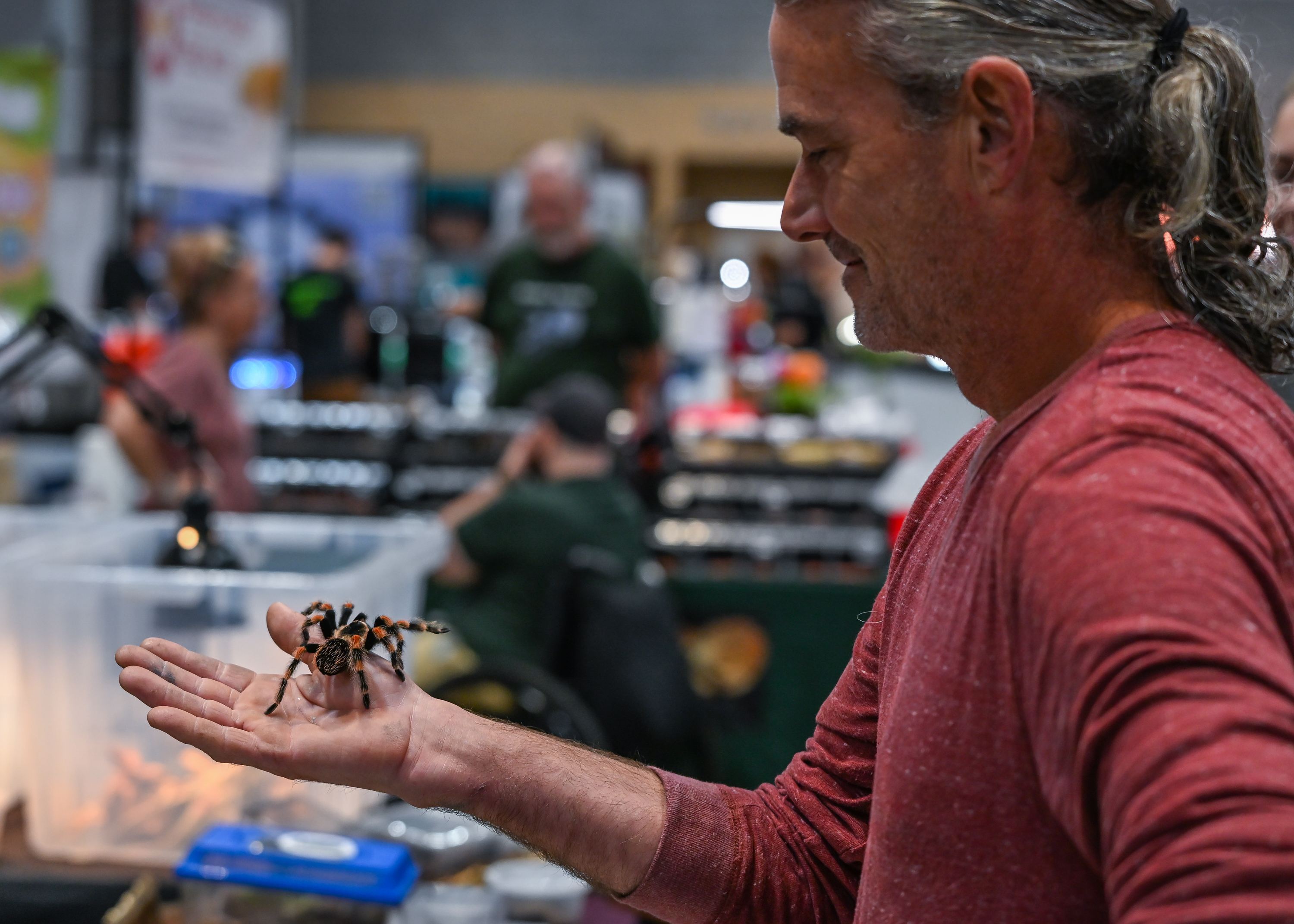 Reptiles slither into MassMutual show - masslive.com
