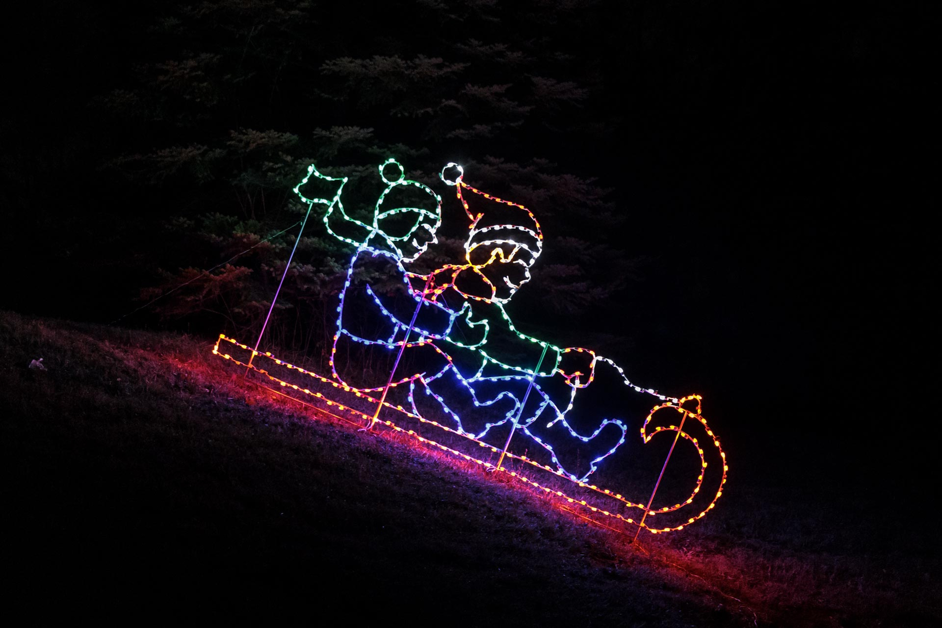Wayne County Lightfest 2025 - mlive.com