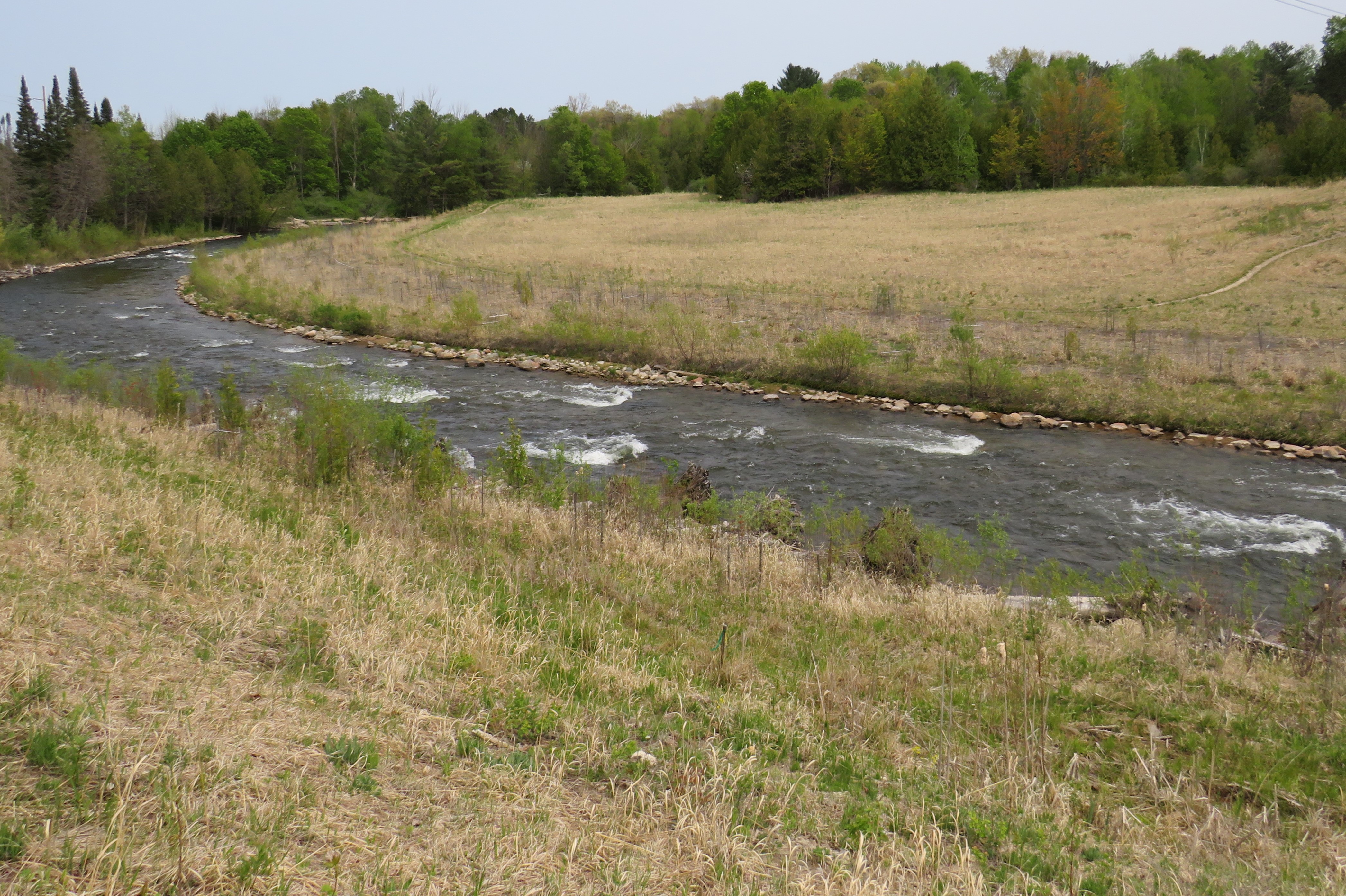 Michigan gets $5 million in federal grants for river projects - mlive.com