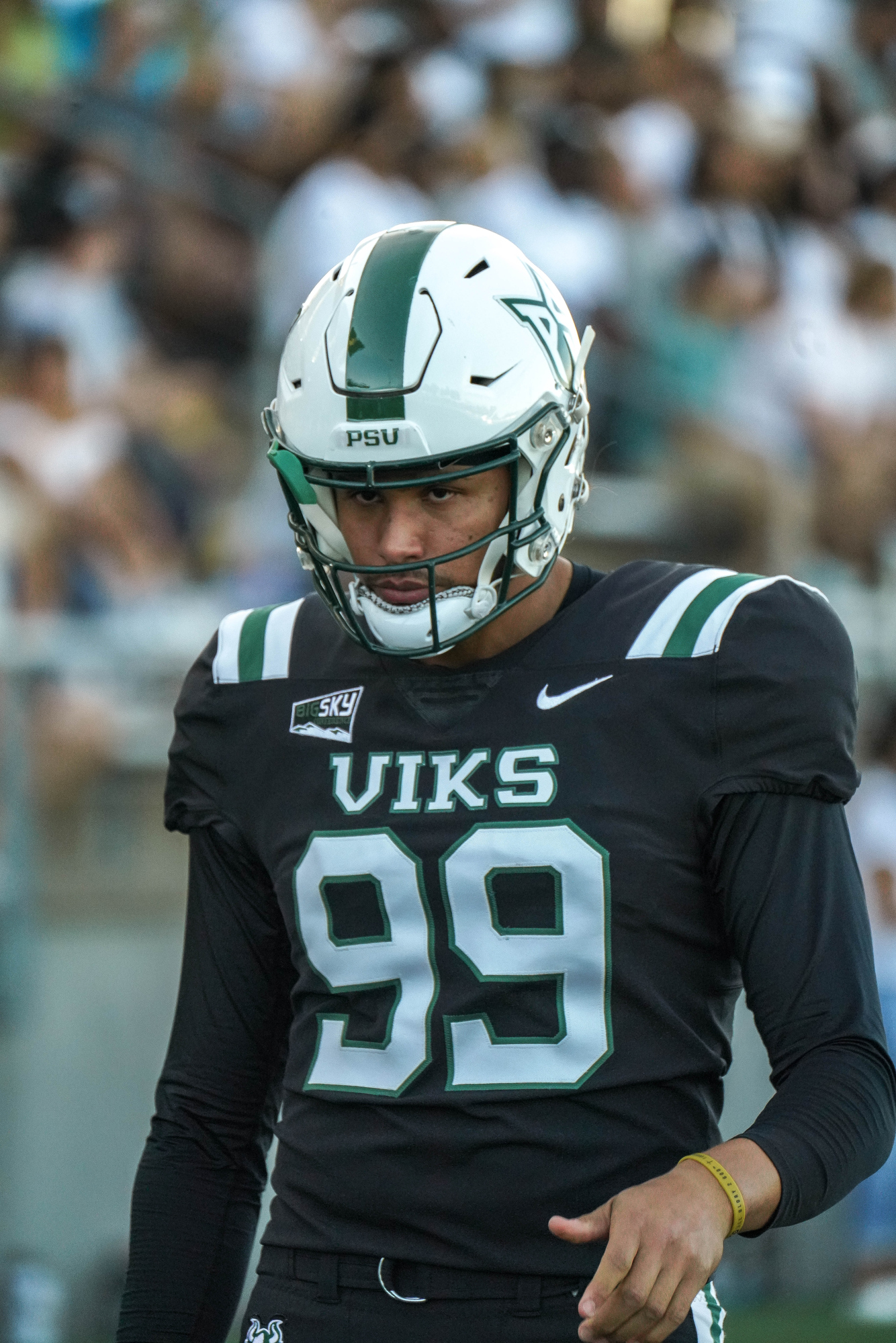 Portland State Vikings football vs. Montana State Bobcats - oregonlive.com