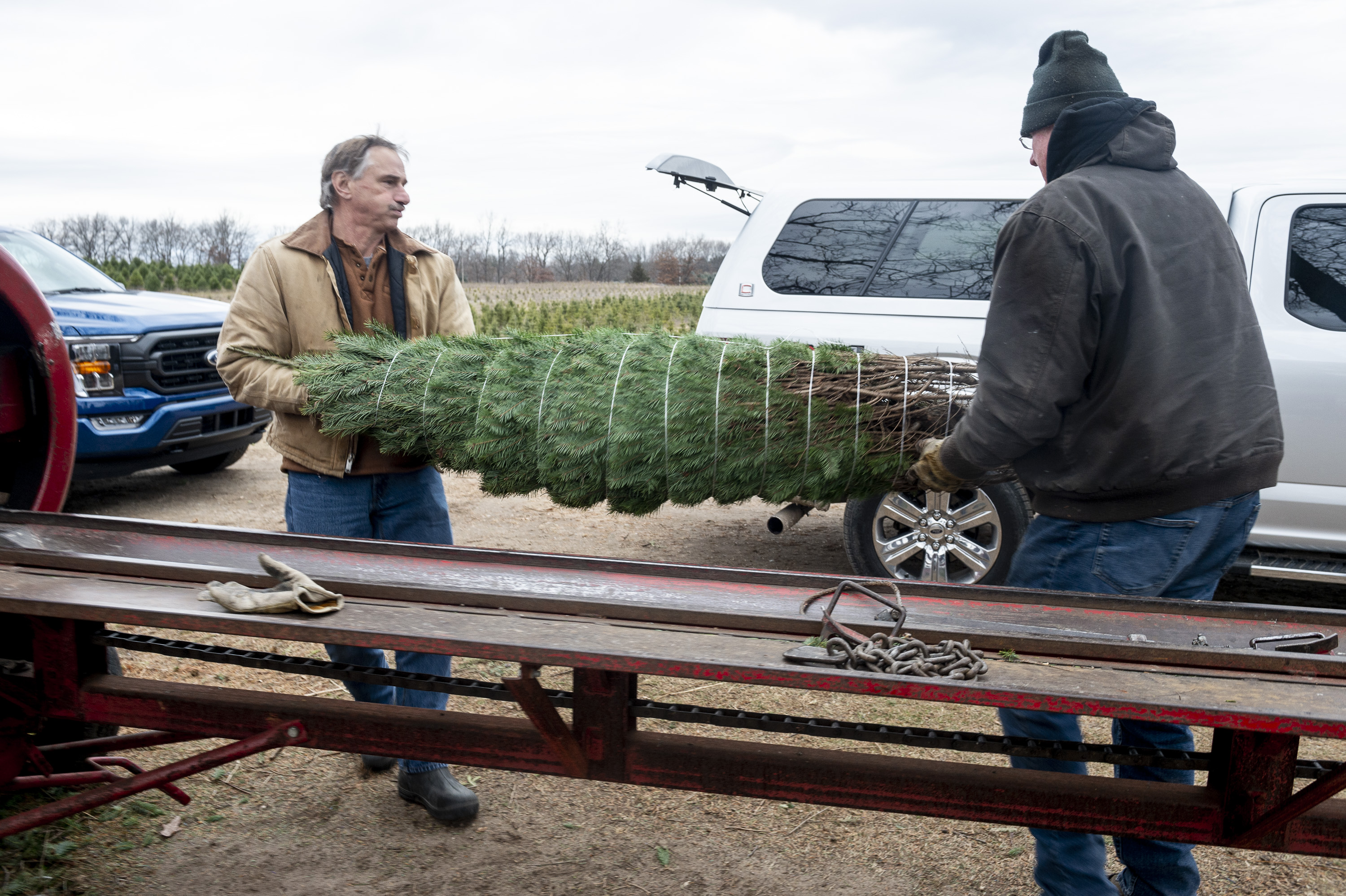 Arend Tree Farm continues four-generation tradition of Christmas U-Cut ...