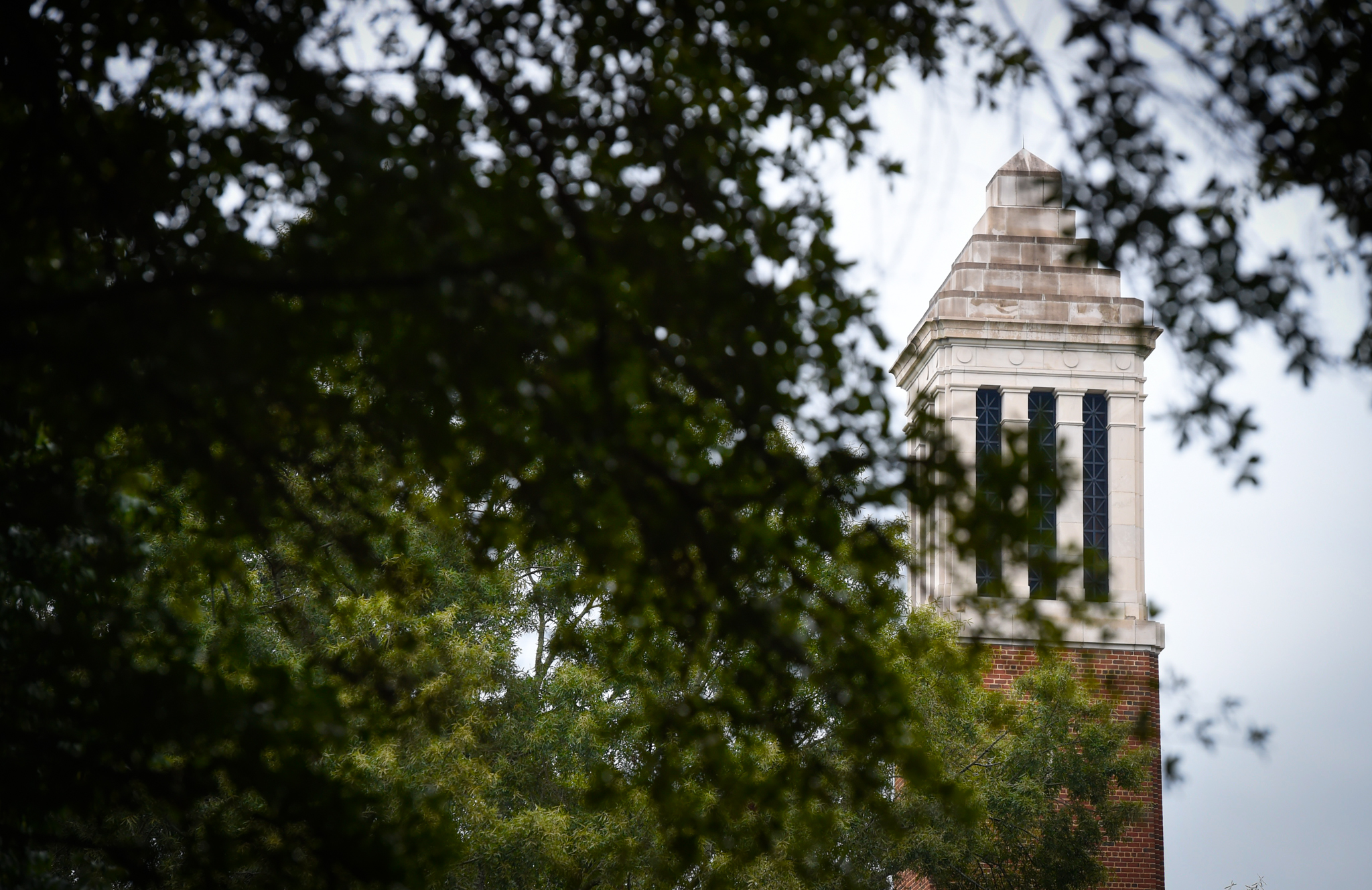 University of Alabama Fall Semester 2022 First Day - al.com