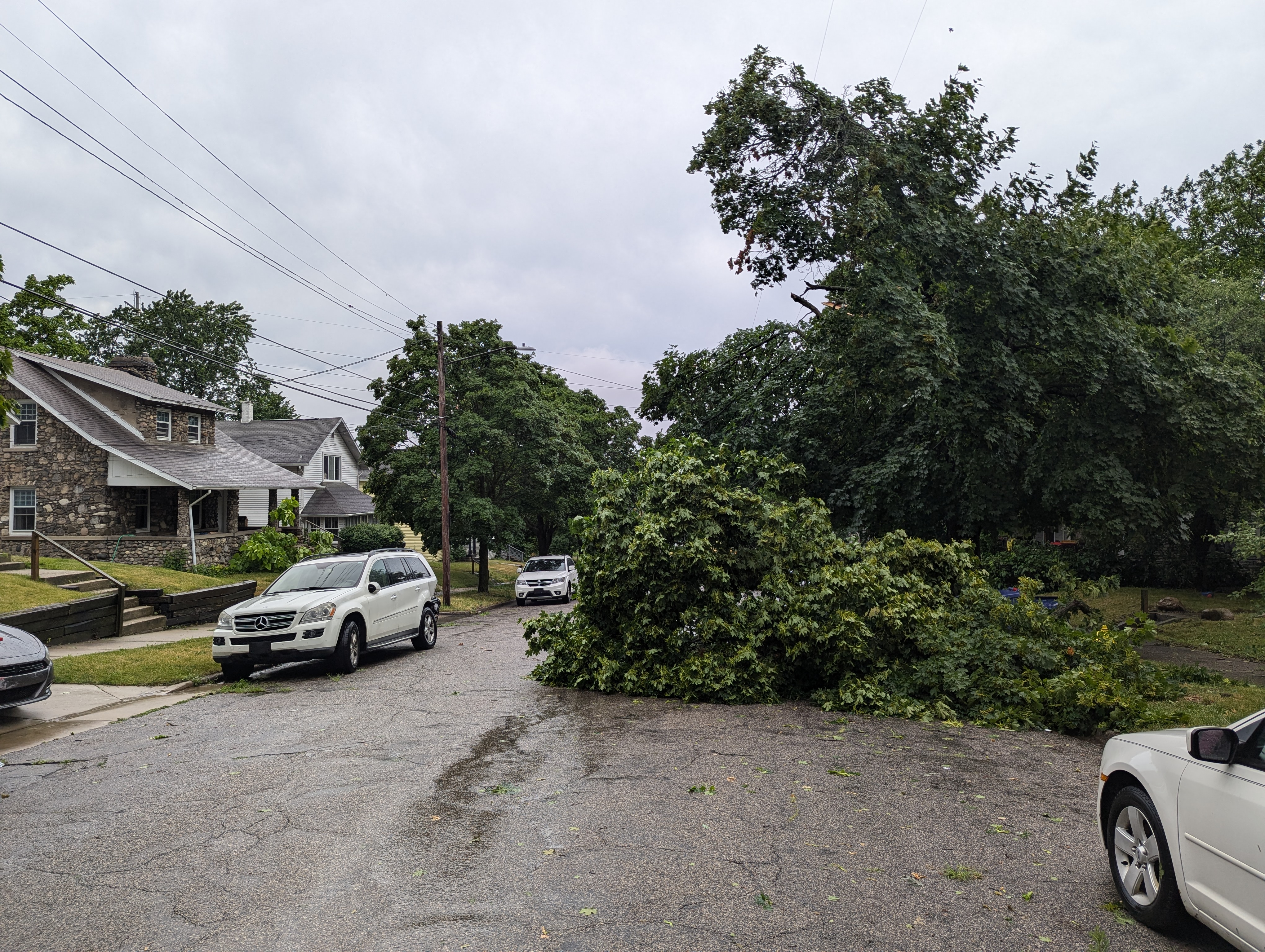 Grand Rapids area storm clean-up - mlive.com