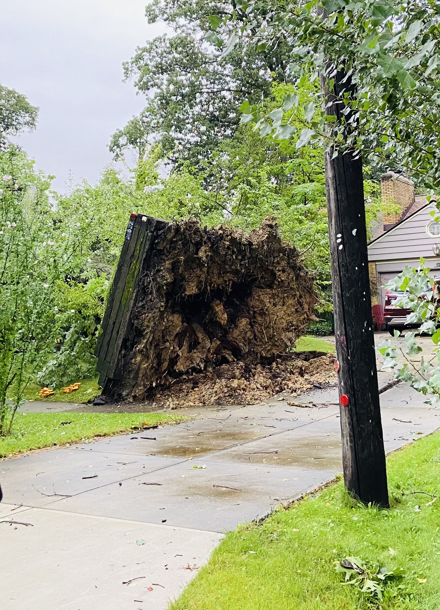 Greater Cleveland storm damage from Aug. 24, 2023 - cleveland.com