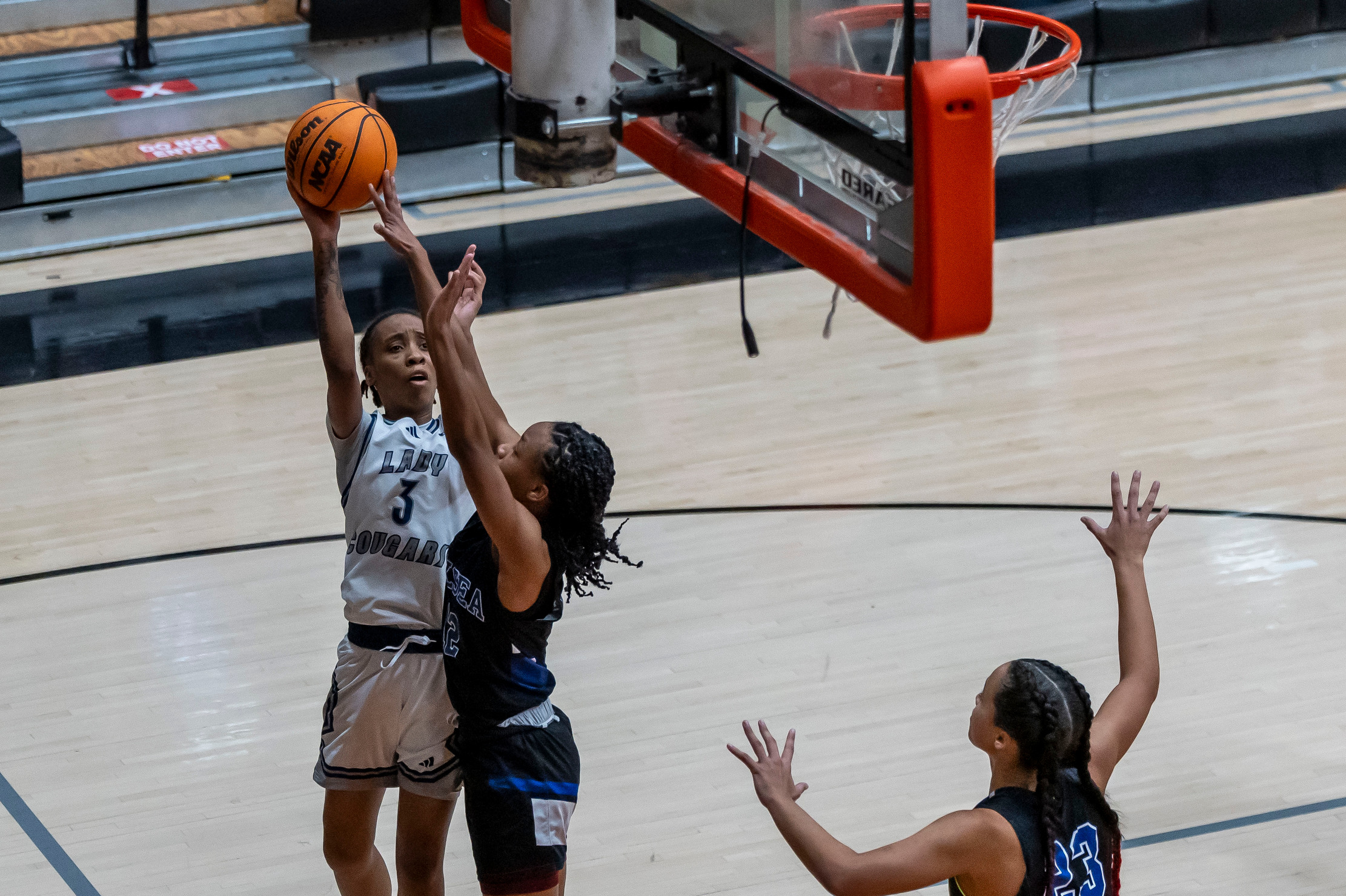 Clay-Chalkville vs Chelsea Girls Basketball - al.com