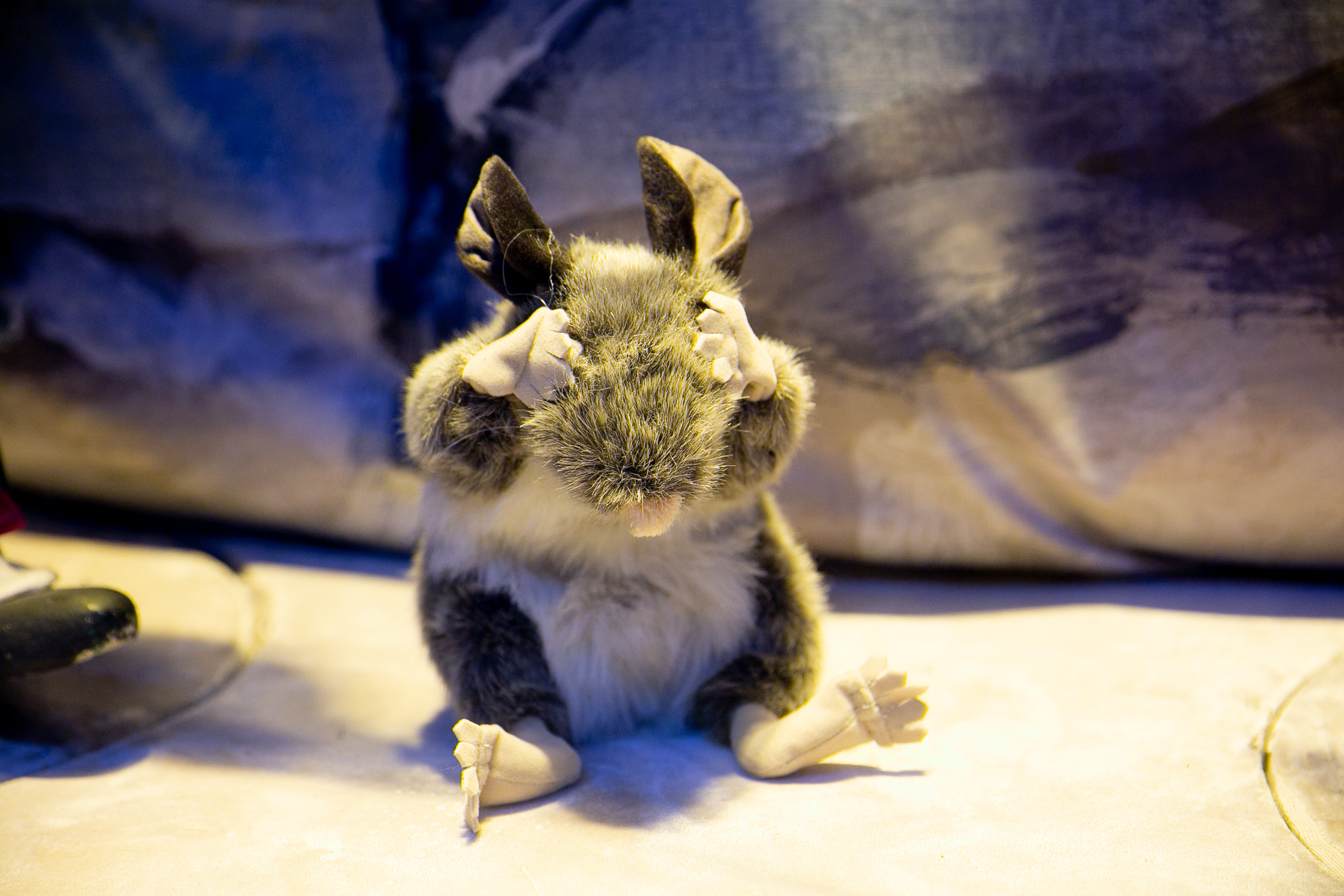 Historic Higbee windows showcase "The Nutcracker" at JACK Casino ...
