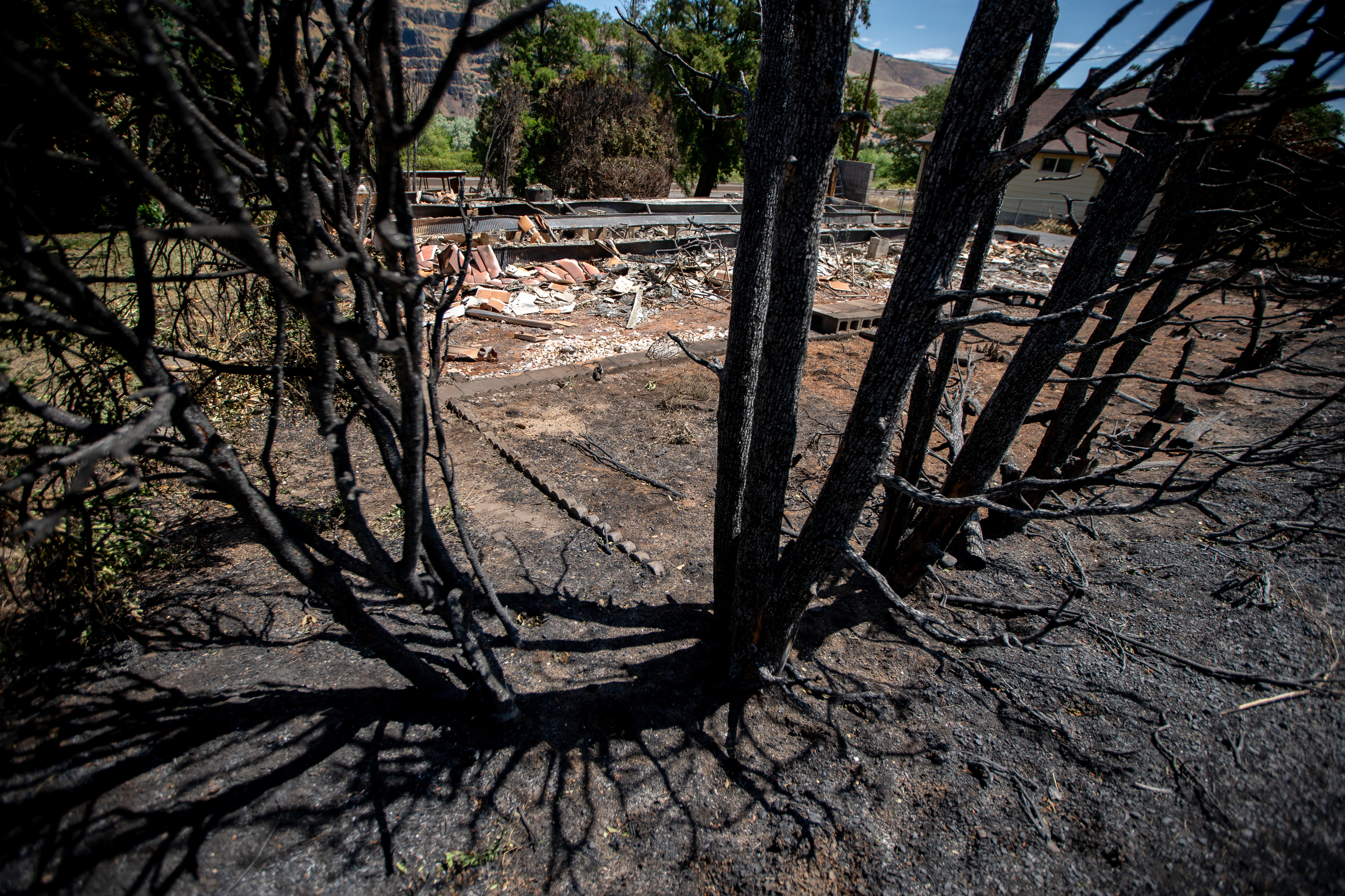 After the flames: Scenes from the Rowena fire - oregonlive.com