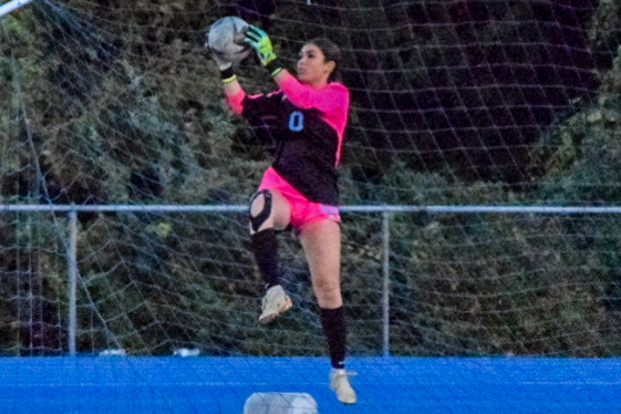 Sea blanks Hill, 2-0, for bid into CHSAA Archdiocesan Tier 1 ...