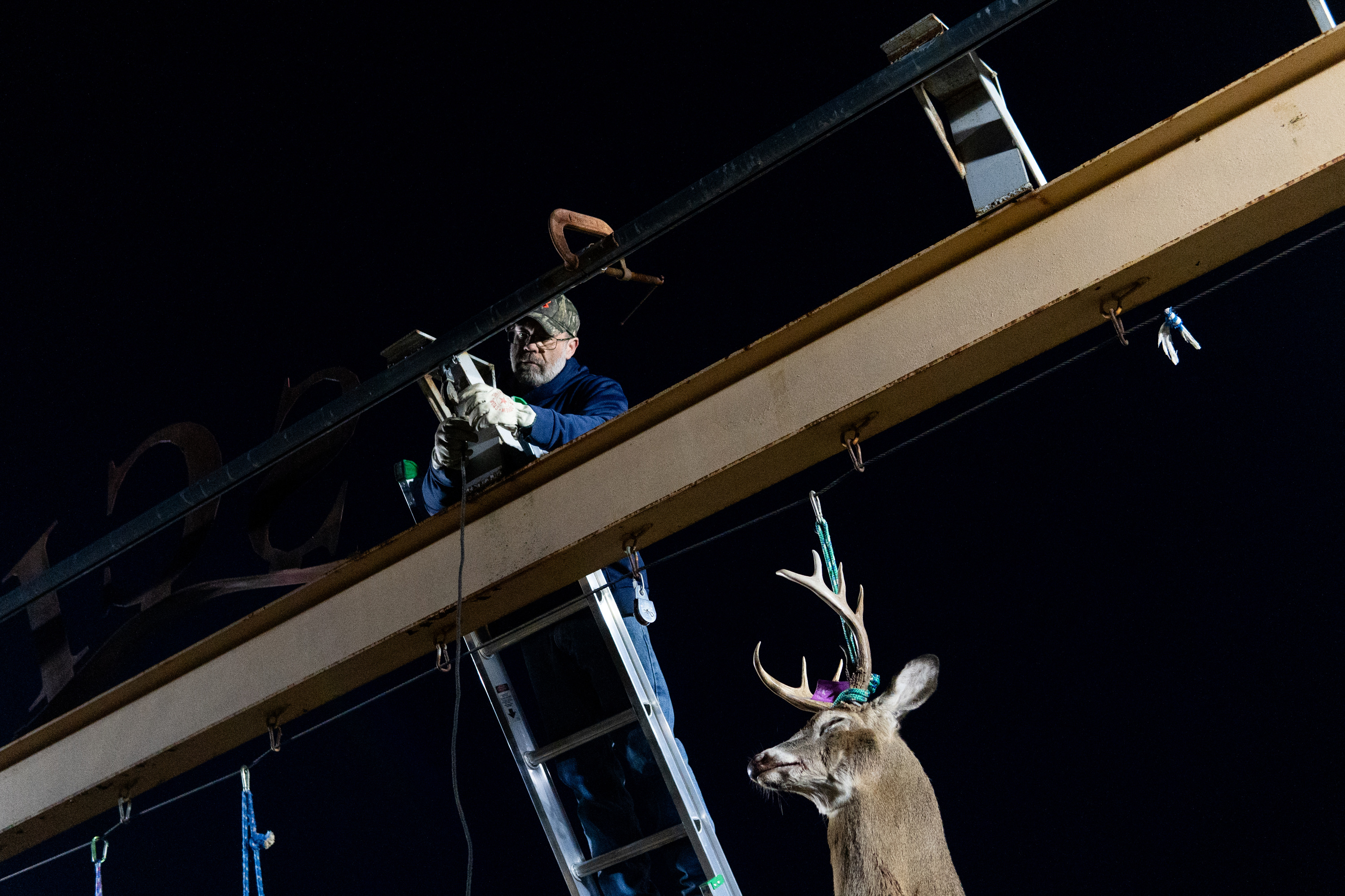 Hunters make their way to the buck poles on opening day - mlive.com