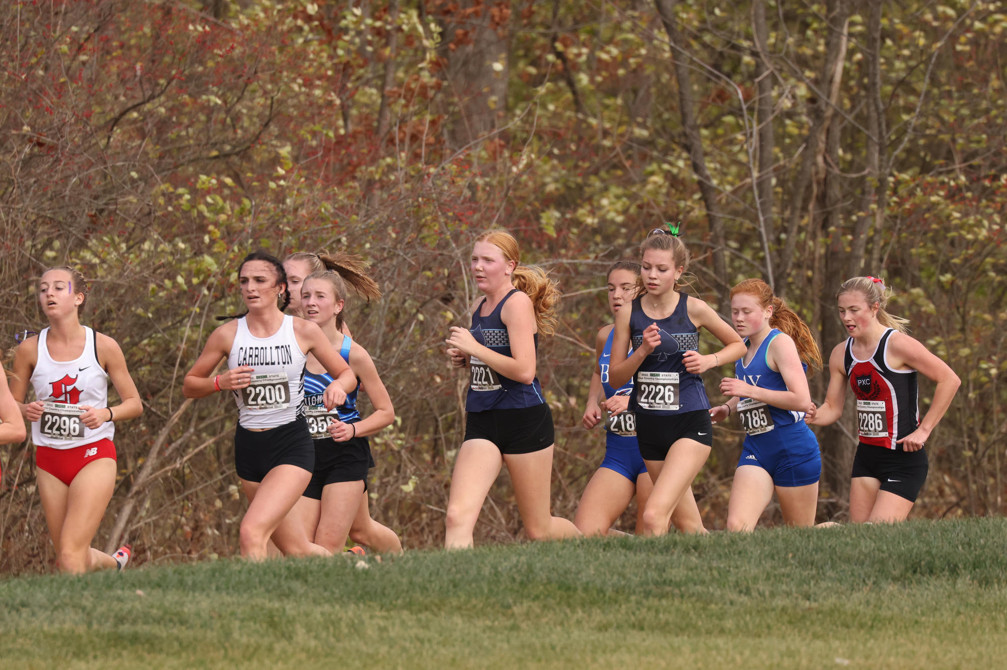 Division II Ohio High School Cross Country Championships 2022 ...