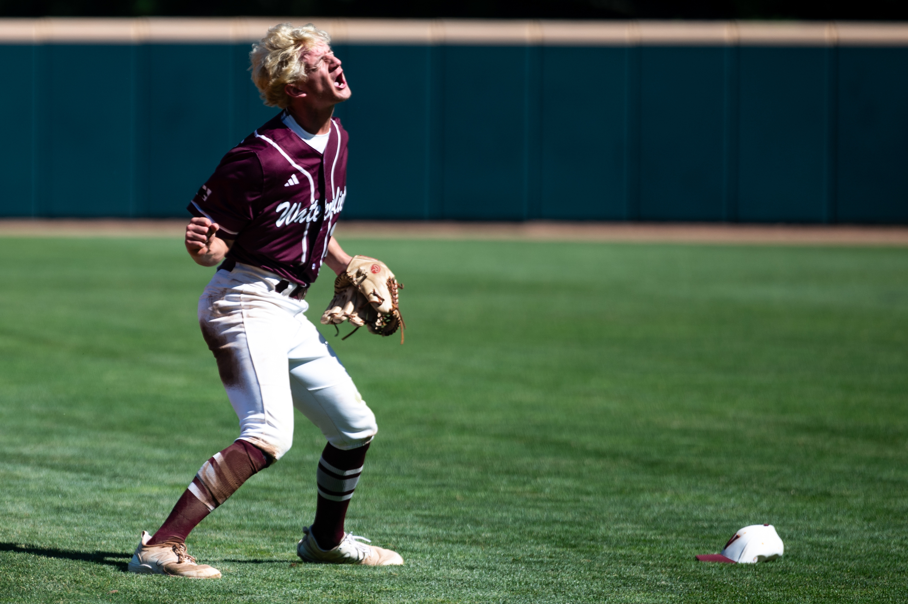 Watervliet wins MHSAA Division 3 baseball state championship - mlive.com