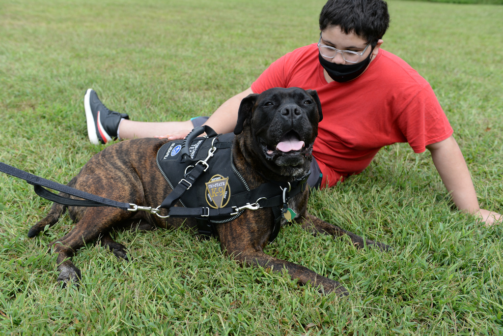 Dulce's Day at Bridgeton City Park, Sept. 13, 2020 - nj.com