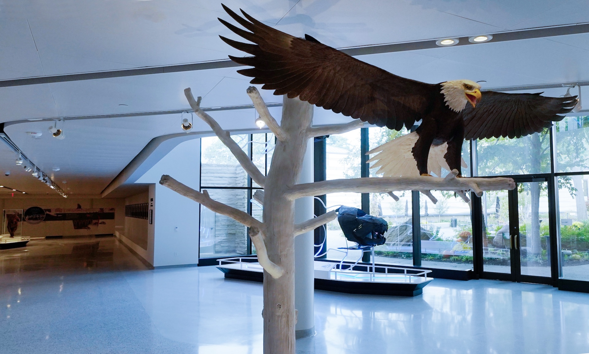 Cleveland Museum of Natural History unveils new Visitor Hall with key ...