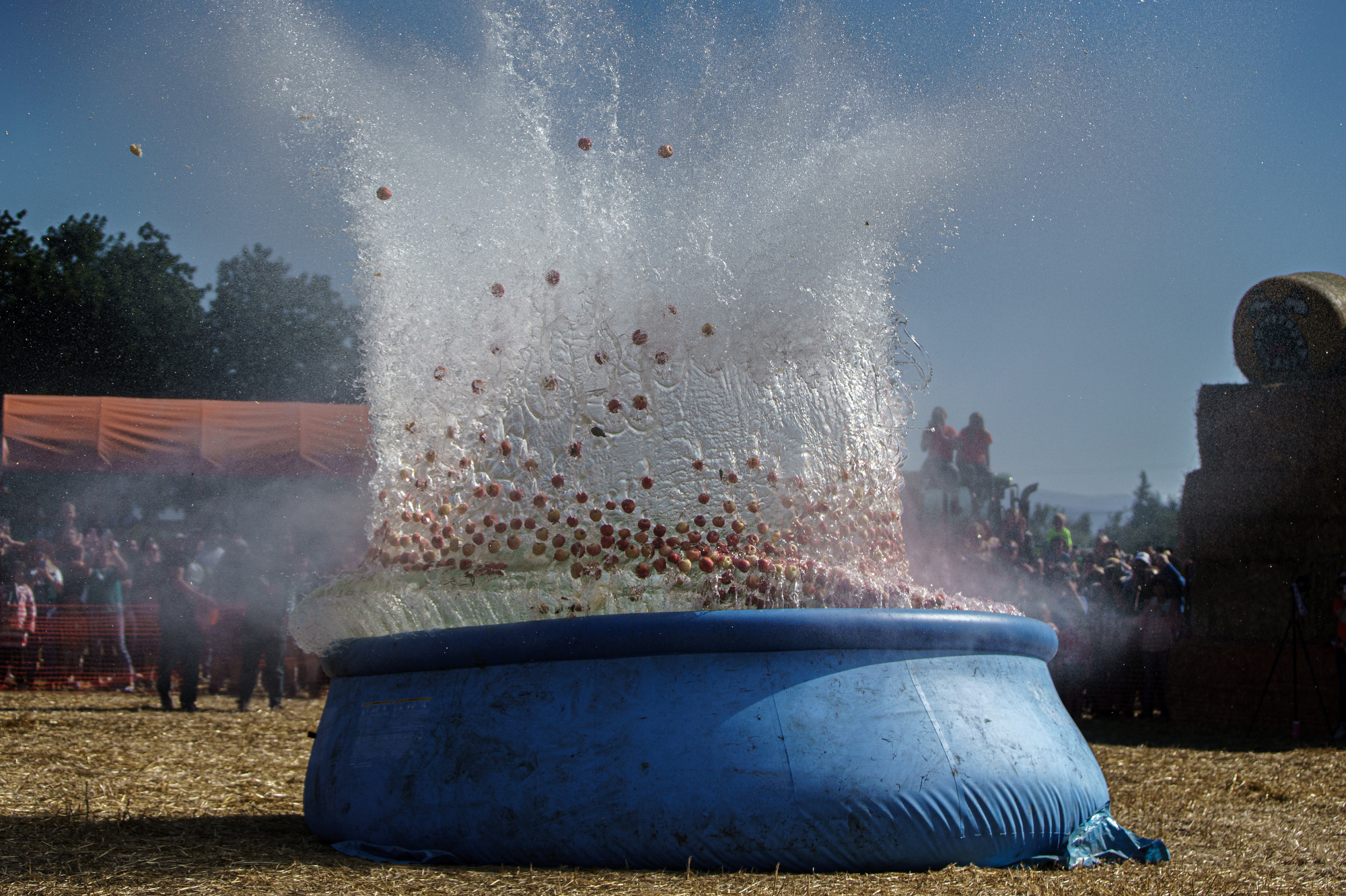 Bauman’s Giant Pumpkin Drop 2022 - oregonlive.com