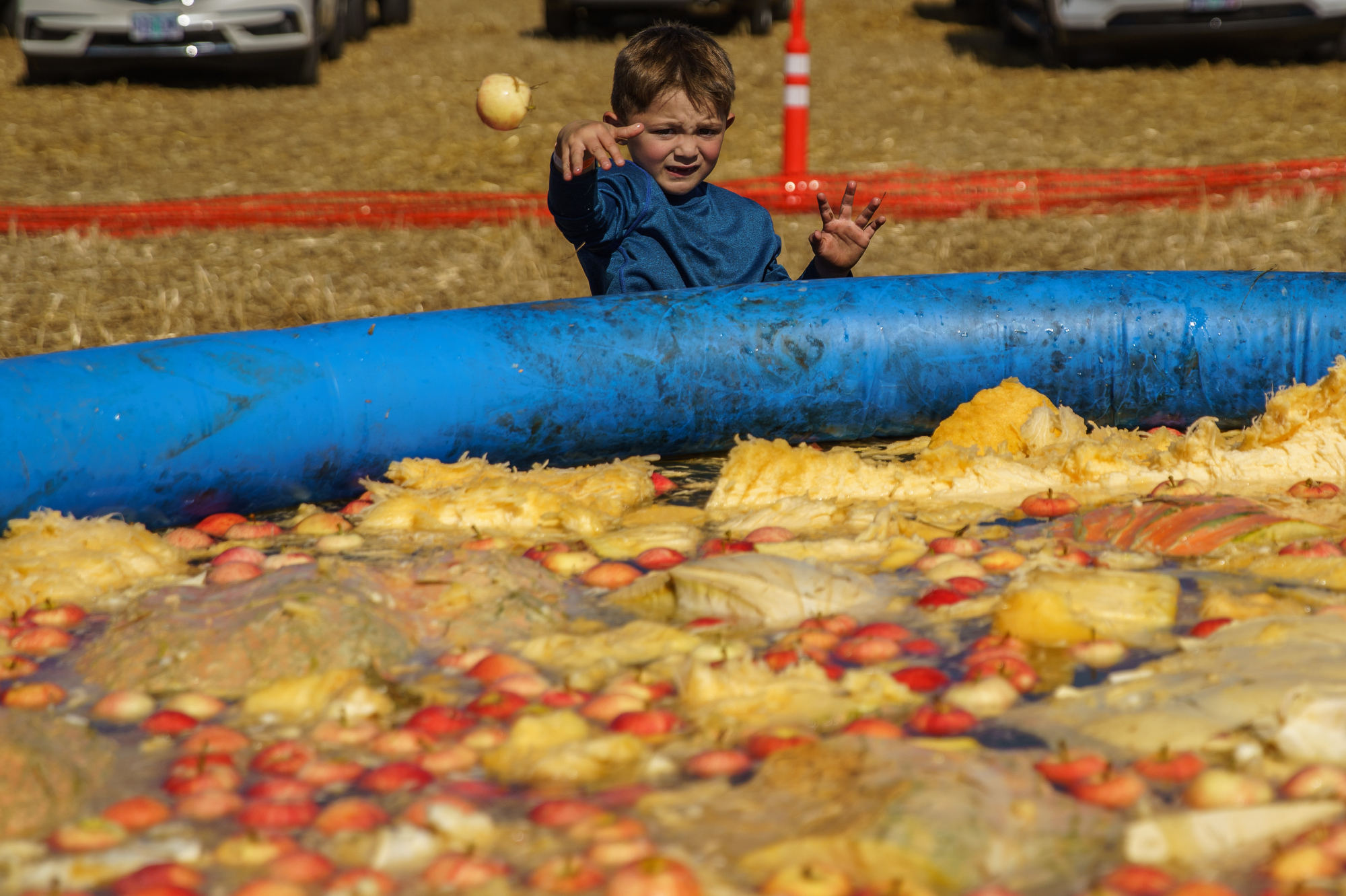 Bauman’s Giant Pumpkin Drop 2022 - oregonlive.com