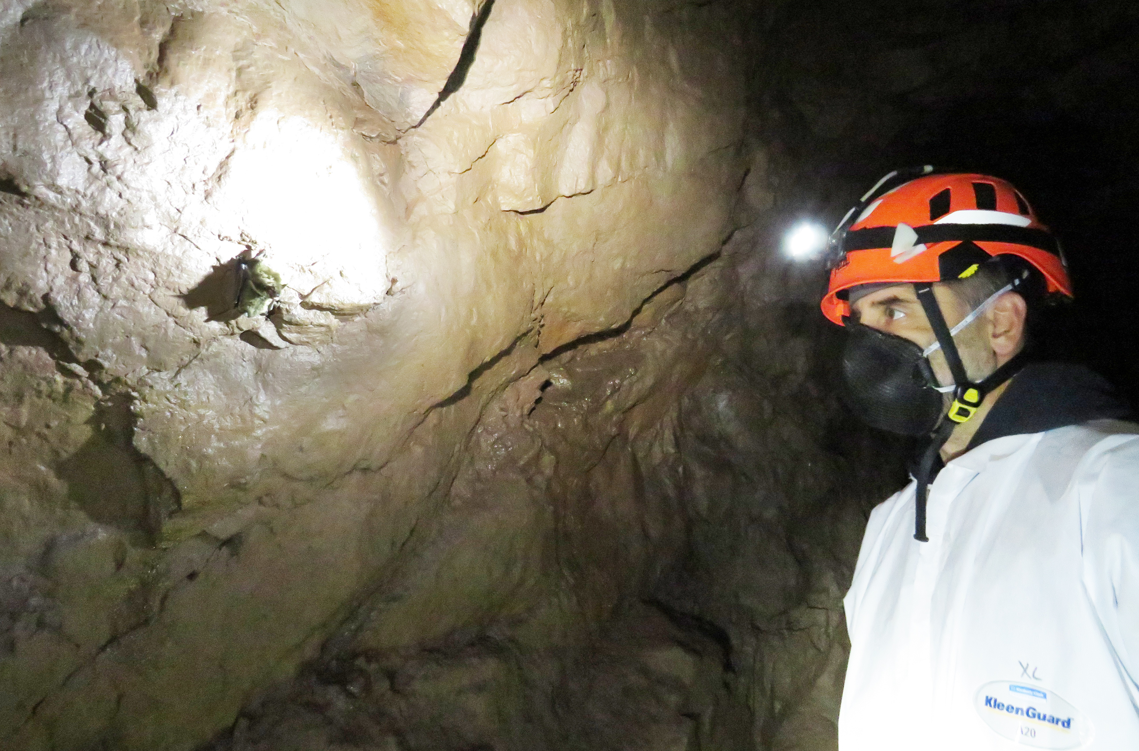 Cooling a copper mine to save bats from white nose syndrome - mlive.com