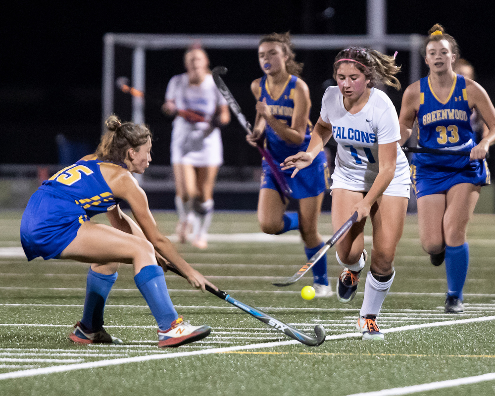 Lower Dauphin defeats Greenwood 4-1 in high school field hockey ...