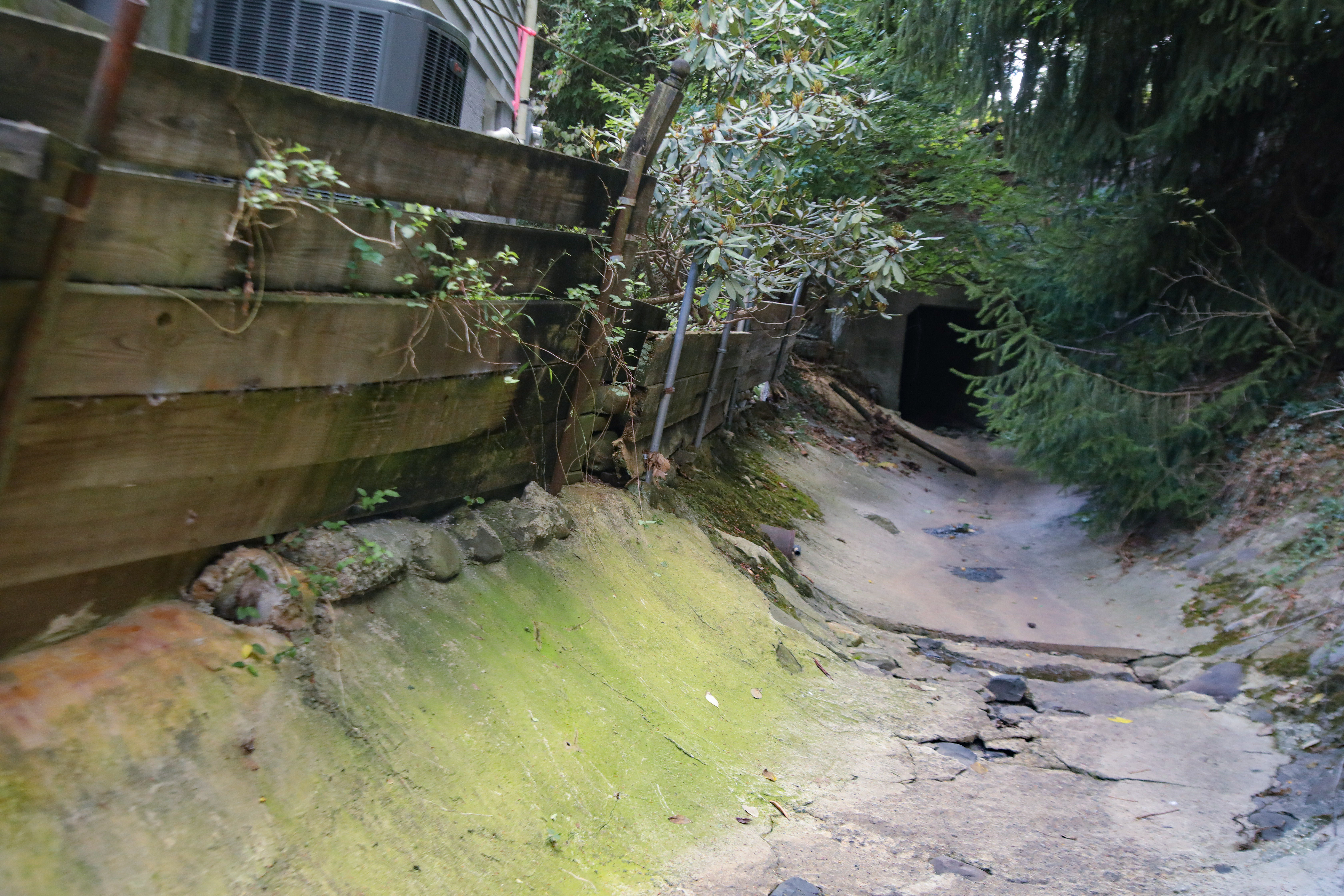 Cedar Grove homeowner sues DOT over faulty drainage system on her ...