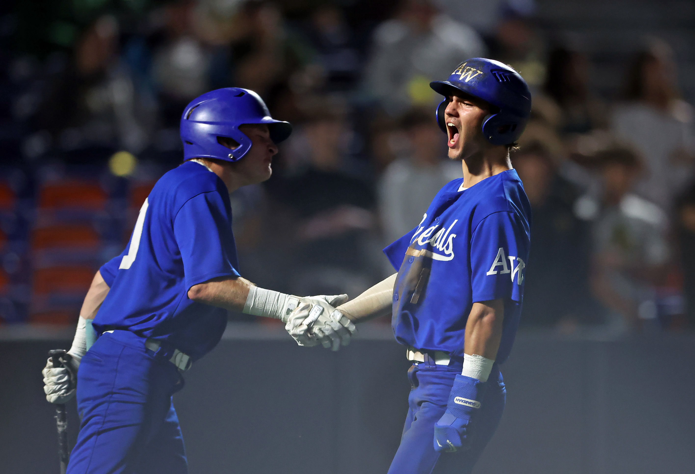 Amherst Steele vs. Anthony Wayne in the OHSAA DII state baseball ...