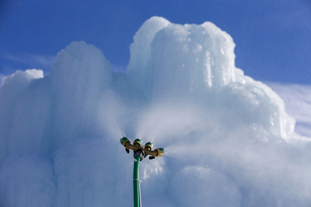 Stellar's Ice Tree in Schnecksville - lehighvalleylive.com