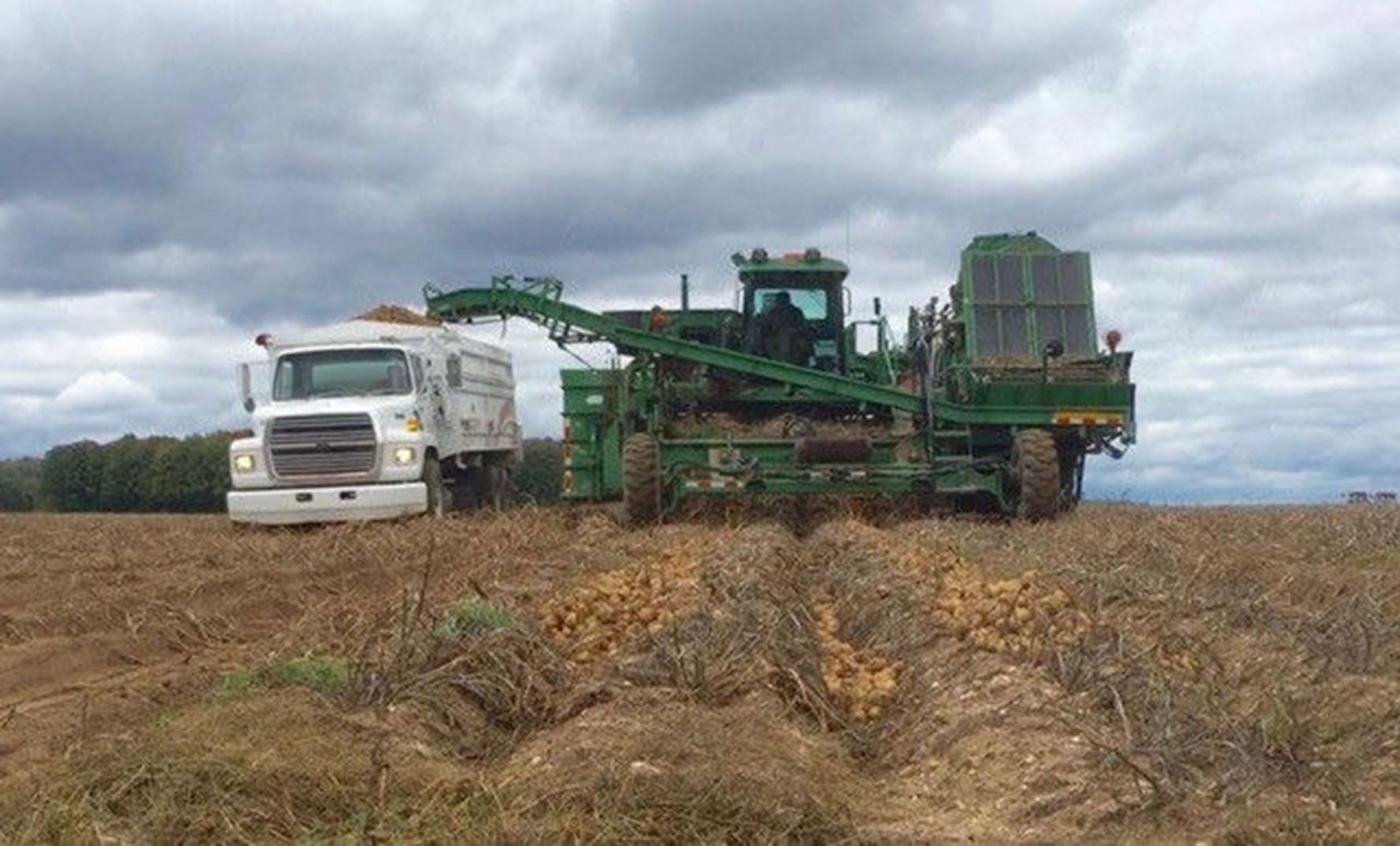 North River Vodka wins international award - mlive.com