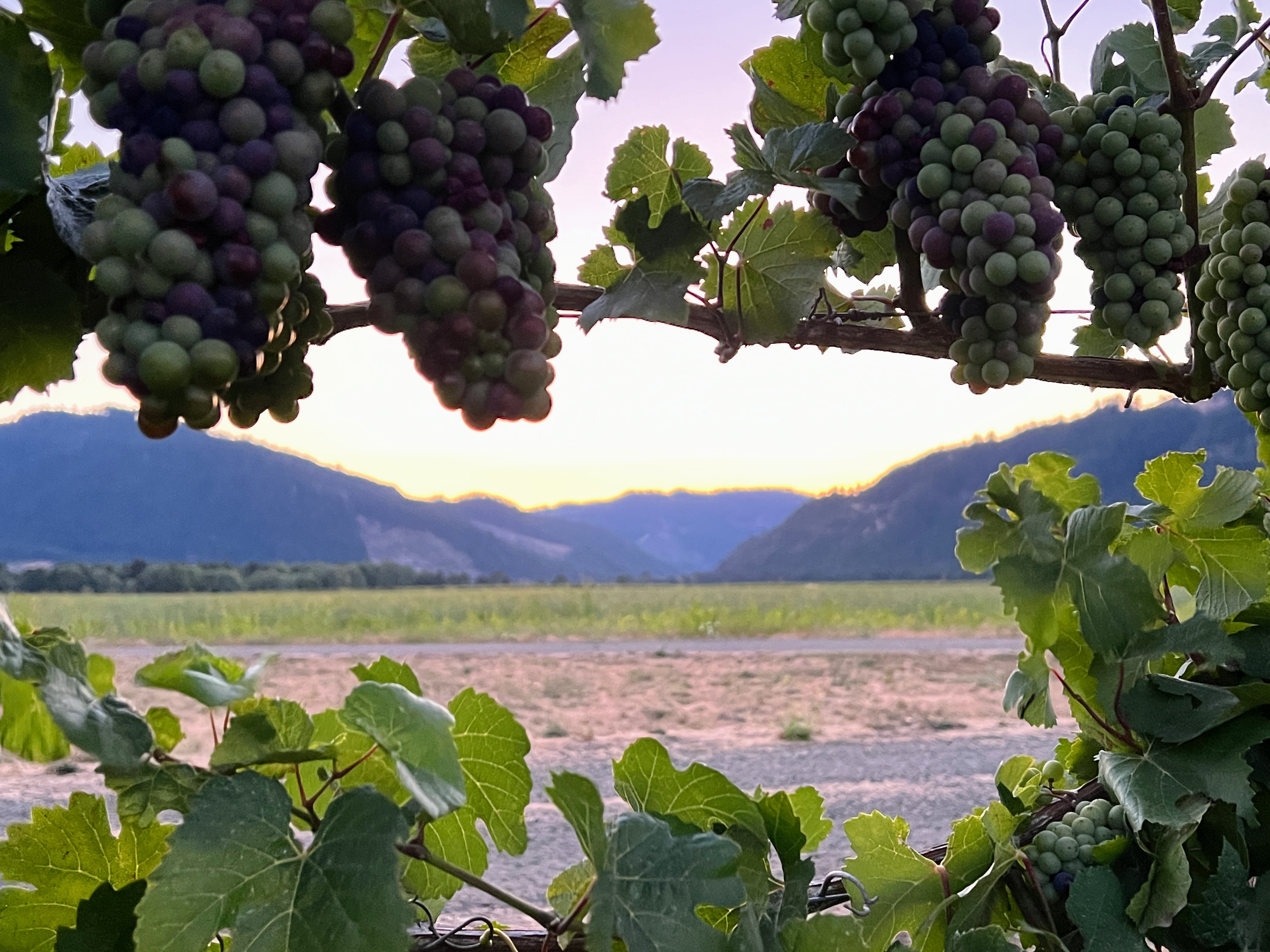 Scott Henry - oregonlive.com