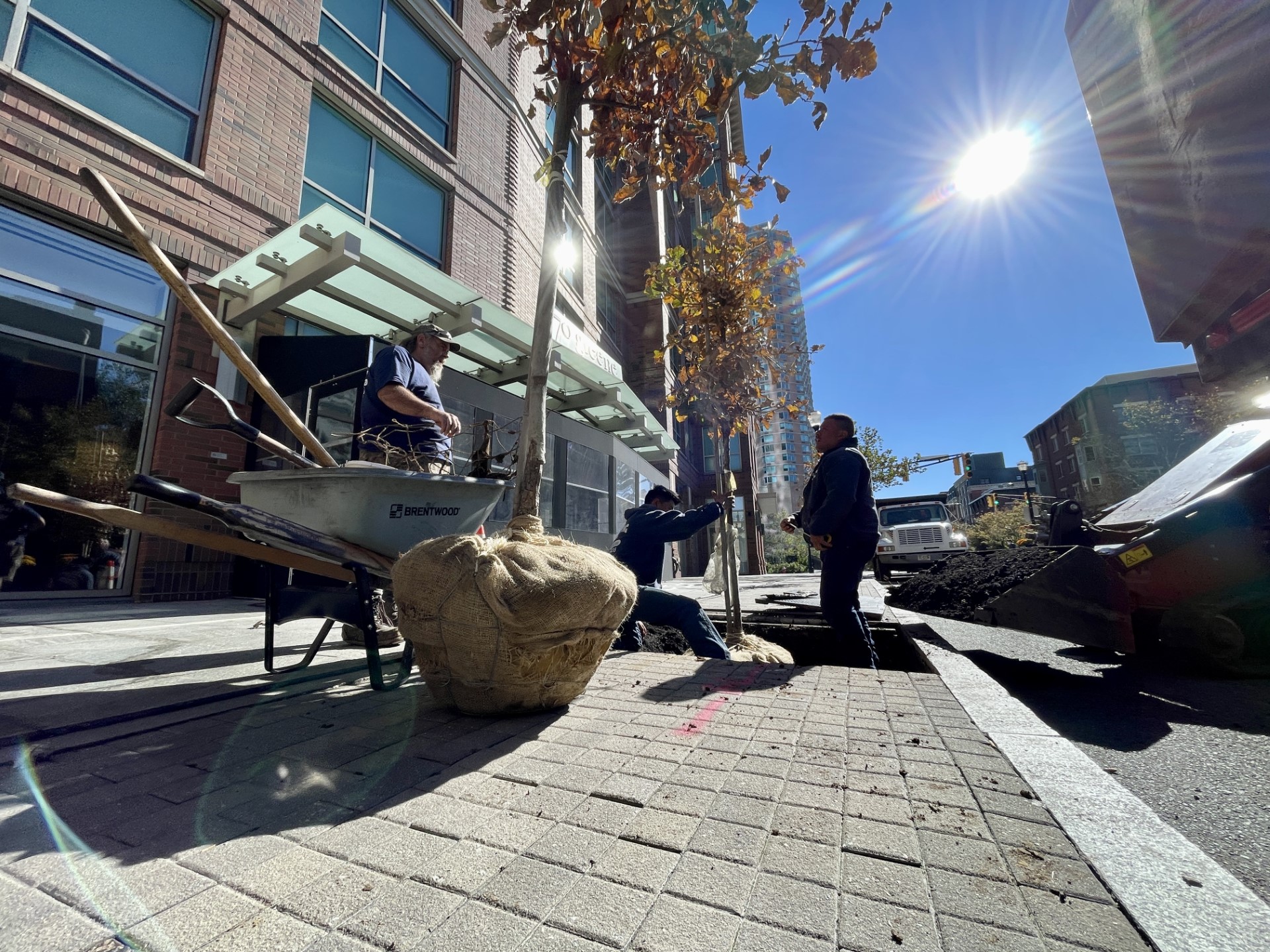 Jersey City’s largest tree planting brings new life to Exchange Place ...
