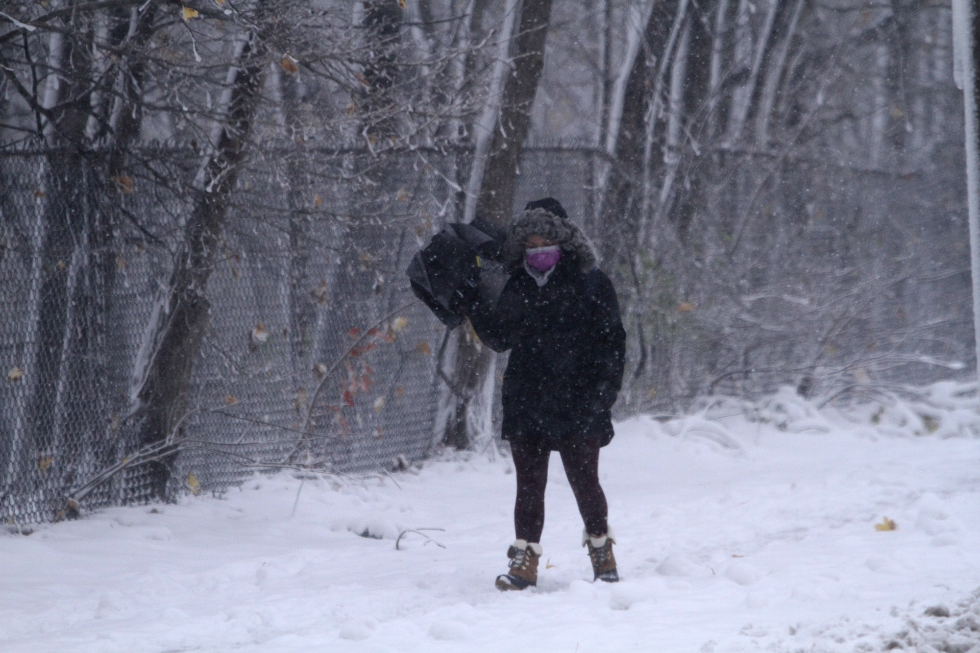 Heavy snowfall in Northeast Ohio, December 1, 2020 - cleveland.com