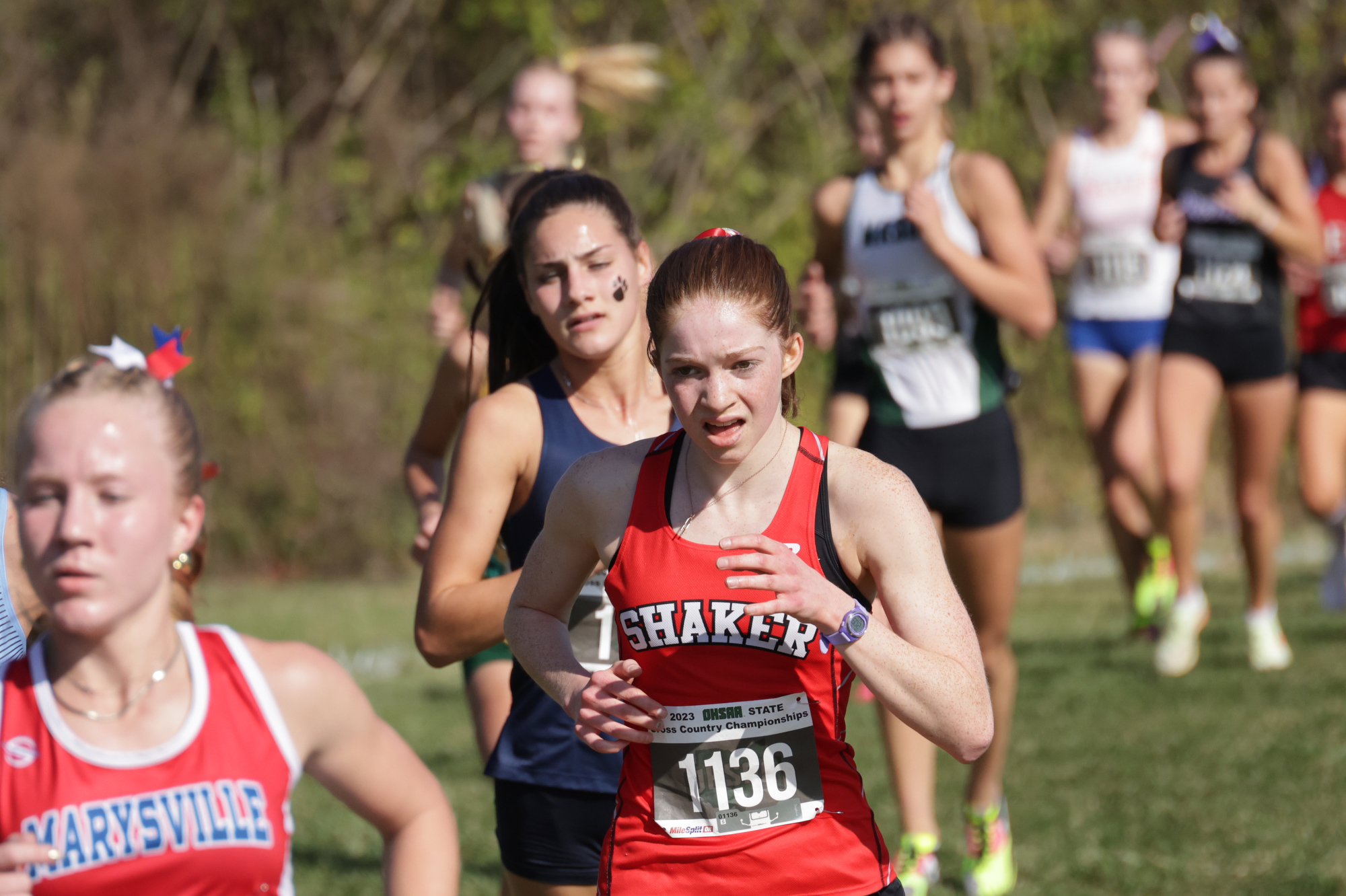 Ohio Girls Cross Country State Championships, 2023 - cleveland.com
