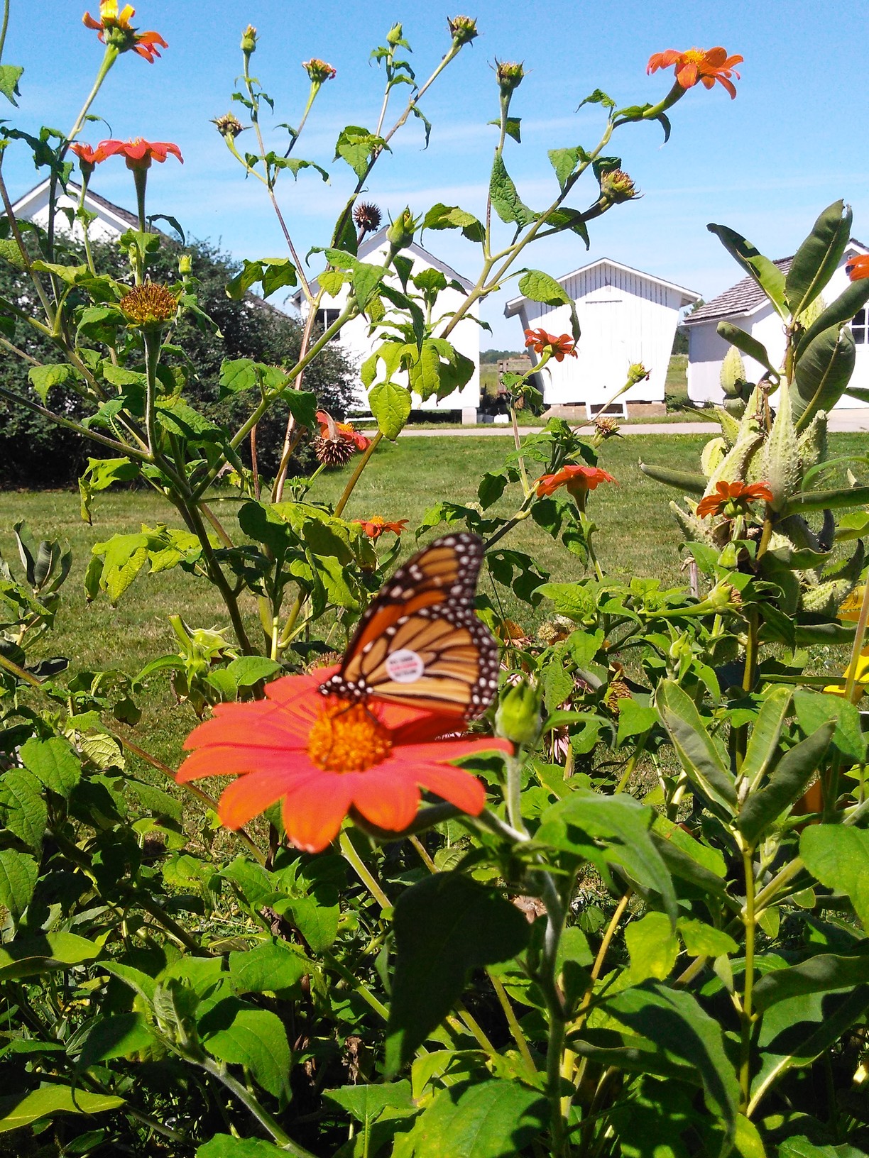 Christopher Aceto's Instagram, Twitter & Facebook on IDCrawl