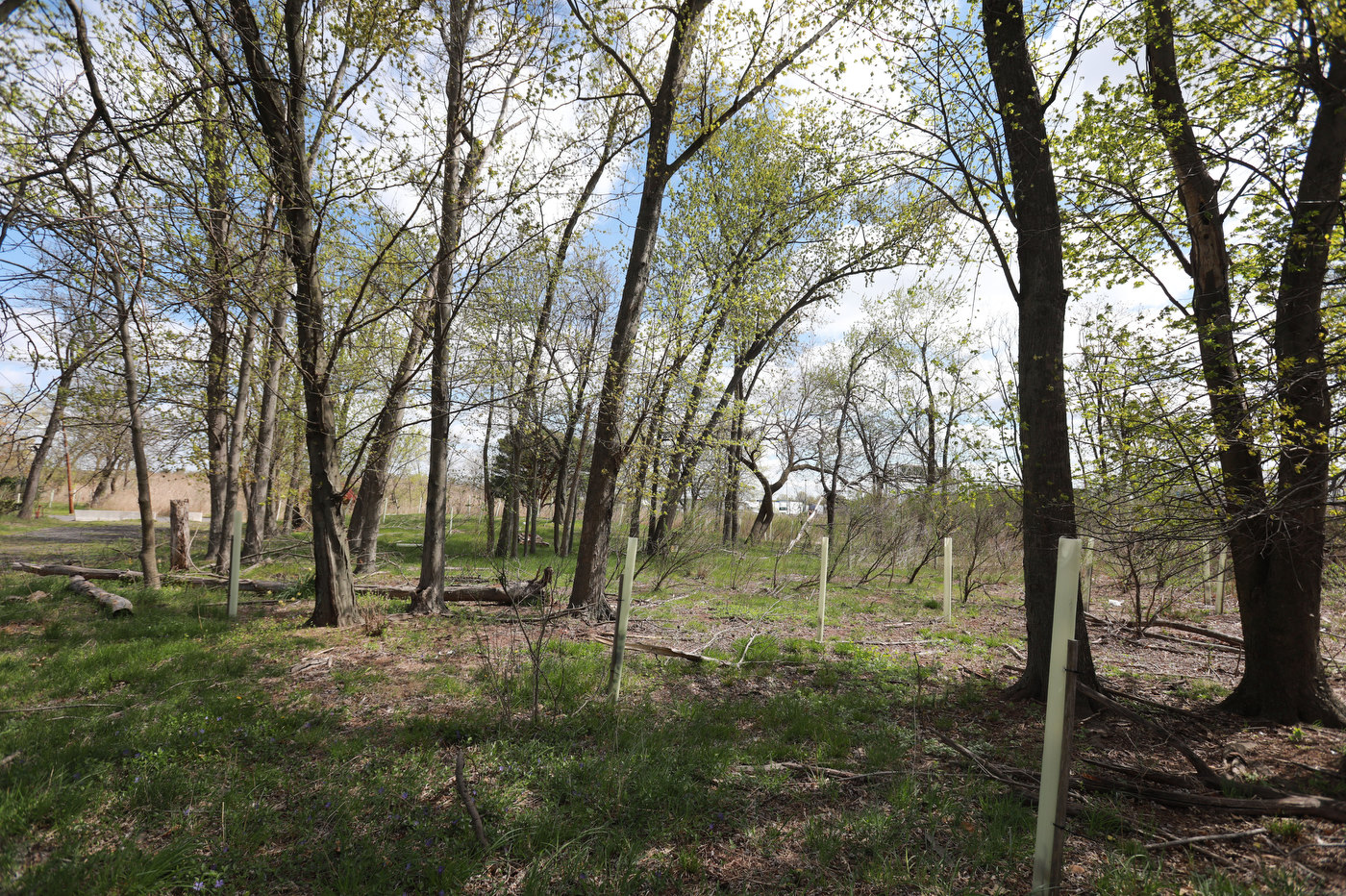 Tour of Blue Acres Site in Woodbridge - nj.com