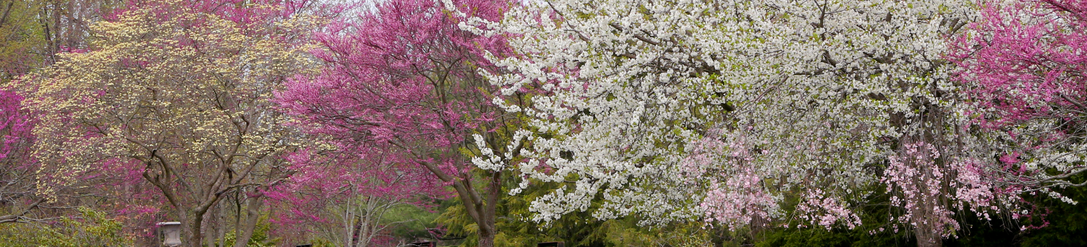 Spring is in the Northeast Ohio air 2022 - cleveland.com