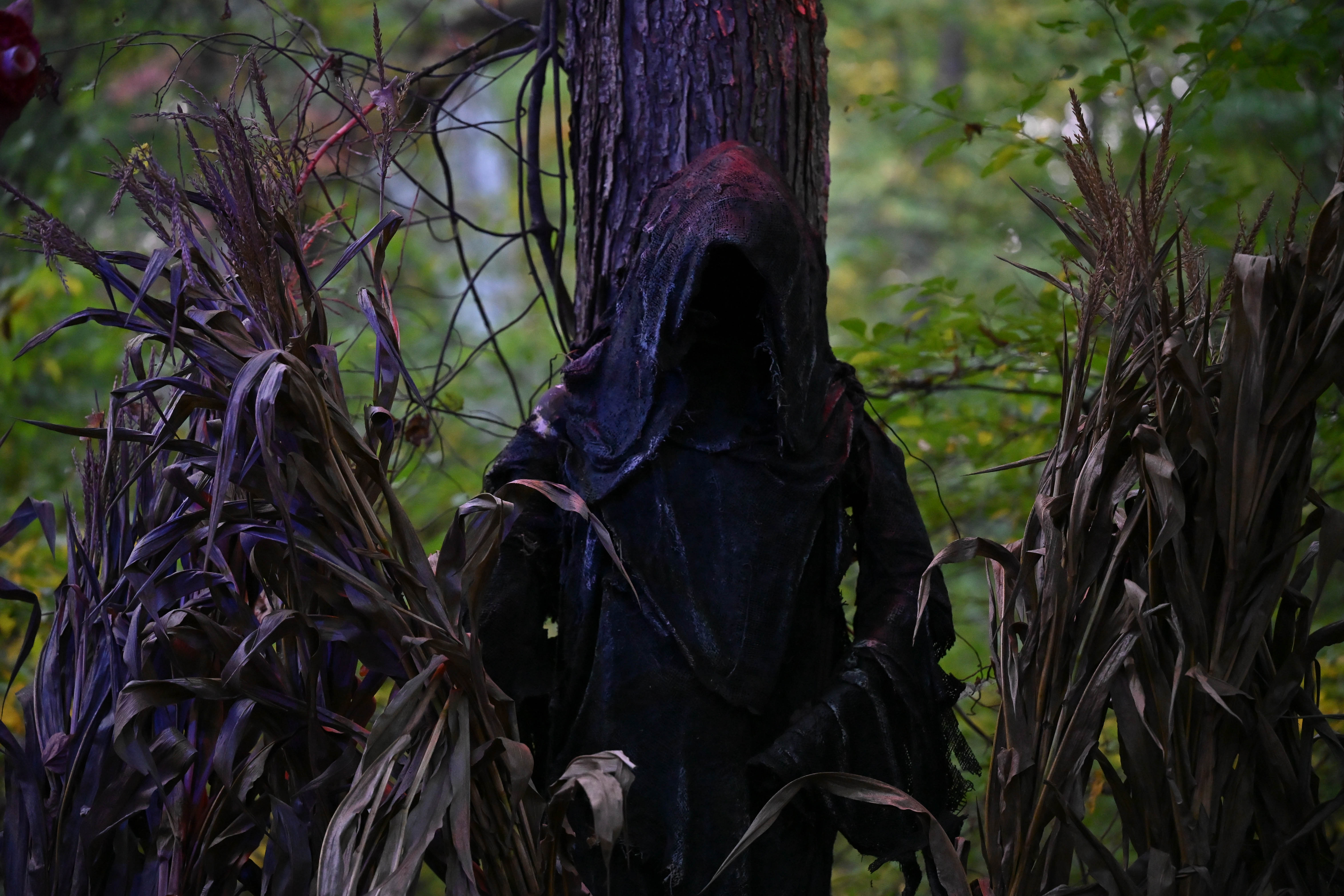 Fright Fest at Six Flags New England - masslive.com