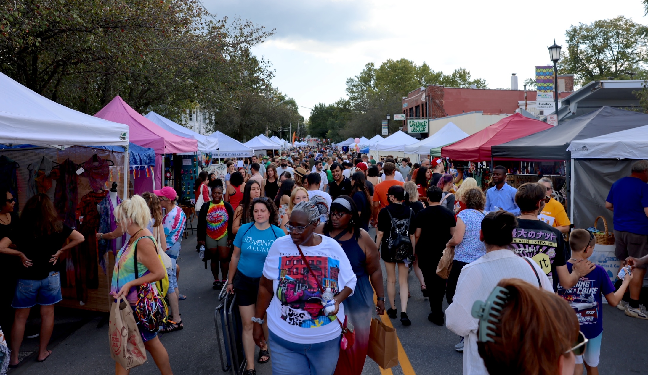 Westcott Street Cultural Fair draws hundreds to Syracuse neighborhood ...