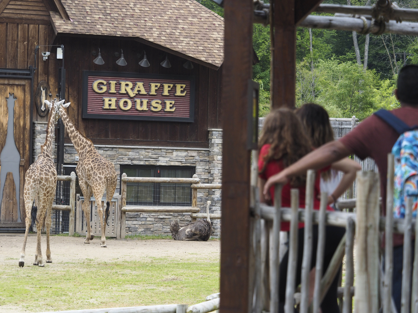 Turtle Back Zoo reopens after pandemic restrictions lifted - nj.com