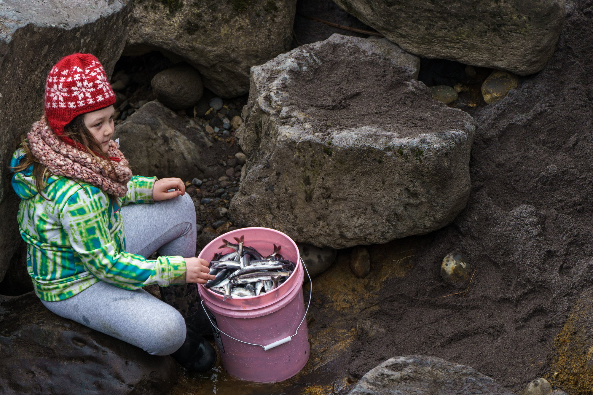 Smelt dipping returns to the lower Sandy River - oregonlive.com