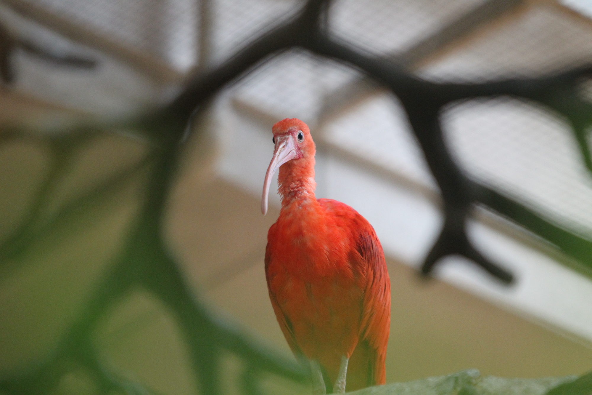 RainForest at Cleveland Zoo reopens - cleveland.com
