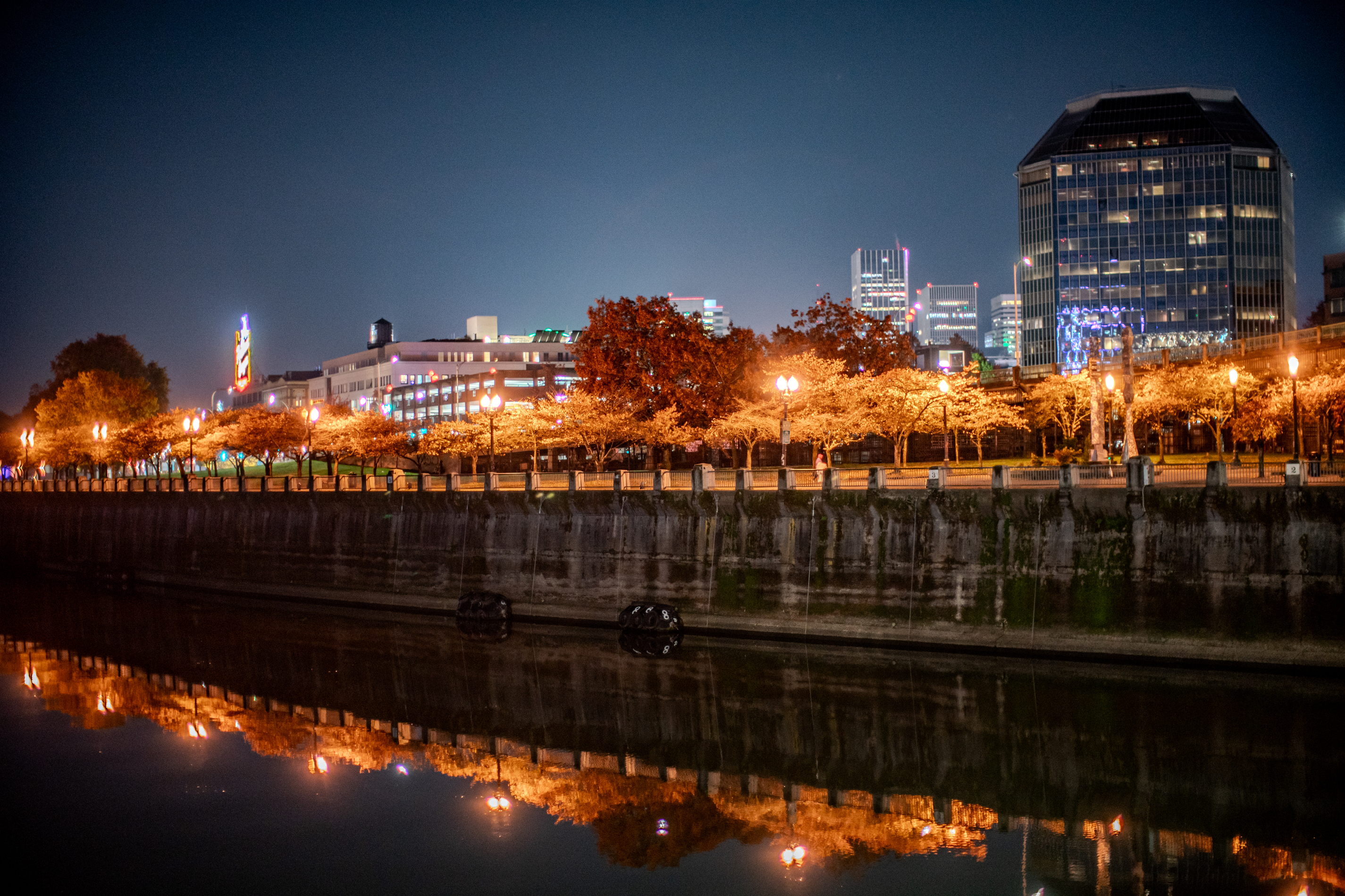 A fall Portland night November 7, 2024 - oregonlive.com