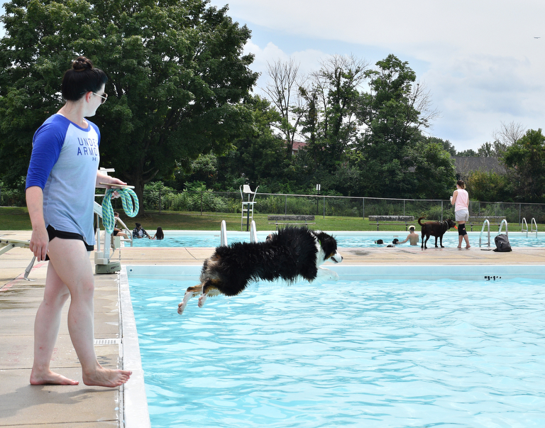 Allentown's Mack Pool goes to the dogs - lehighvalleylive.com