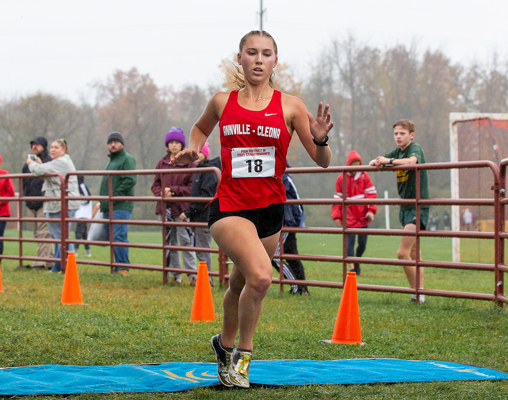 2021 PIAA District 3 girls cross country championships - pennlive.com