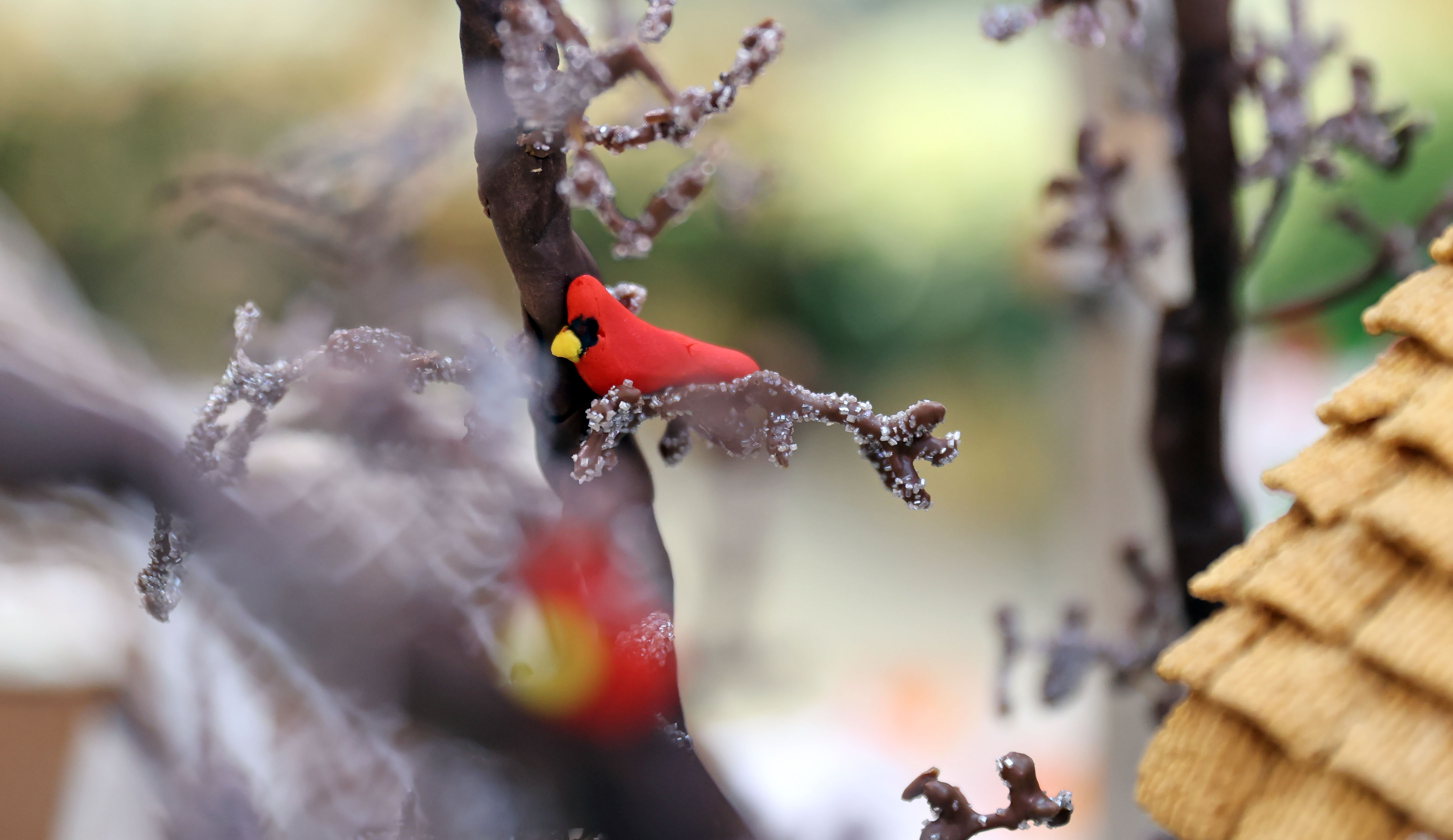 Gingerbread displays at Cleveland Botanical Garden, November 17, 2022 ...