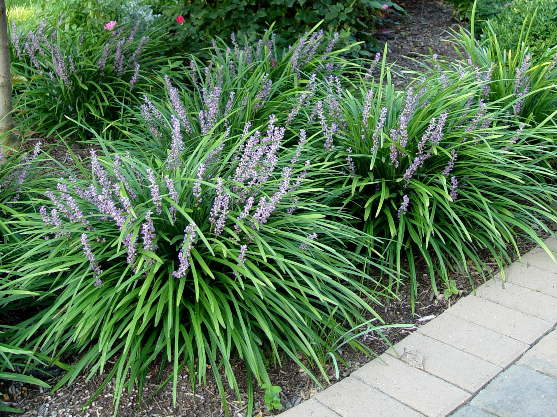 Mailbox Landscaping Ideas